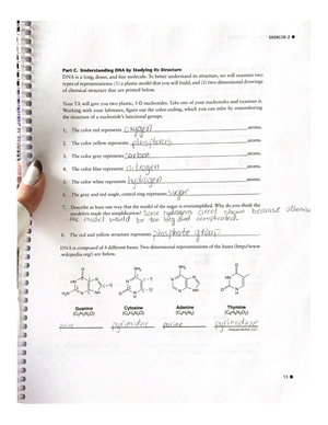 Introductory Biology I Study Guide - Introductory Biology I Study Guide ...