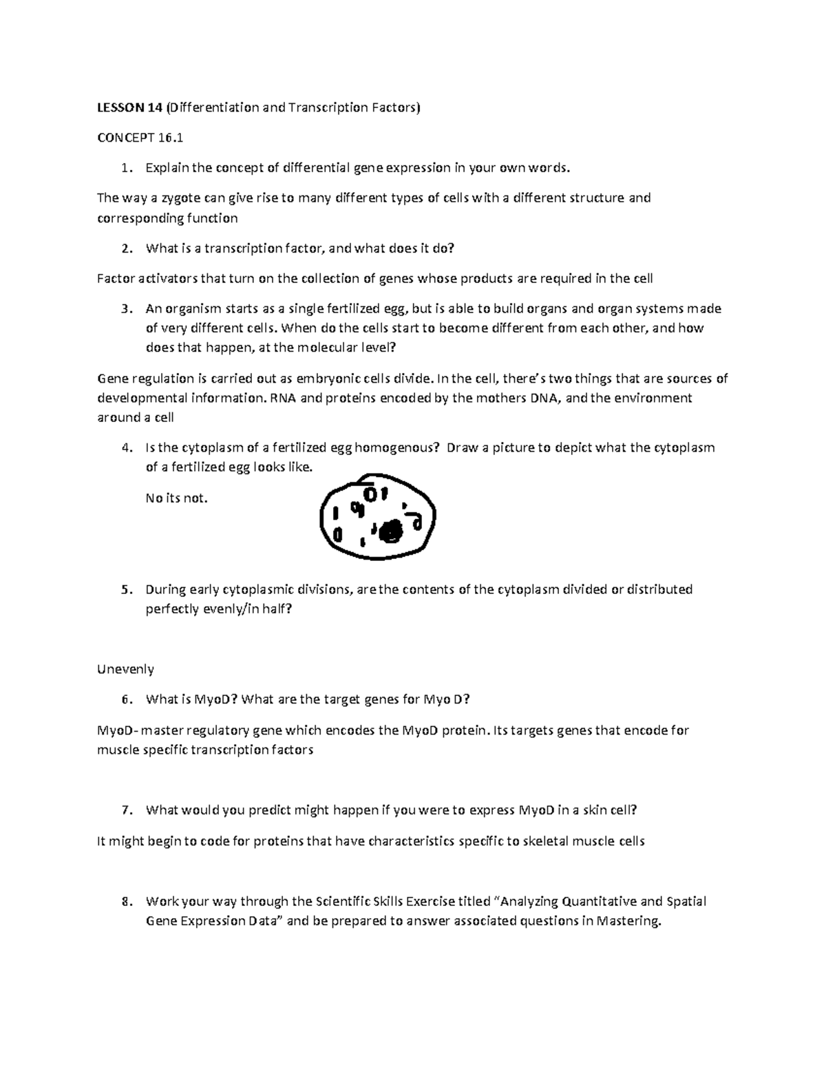 Lesson 14 GRQs - Before Class Homework - LESSON 14 (Differentiation and ...