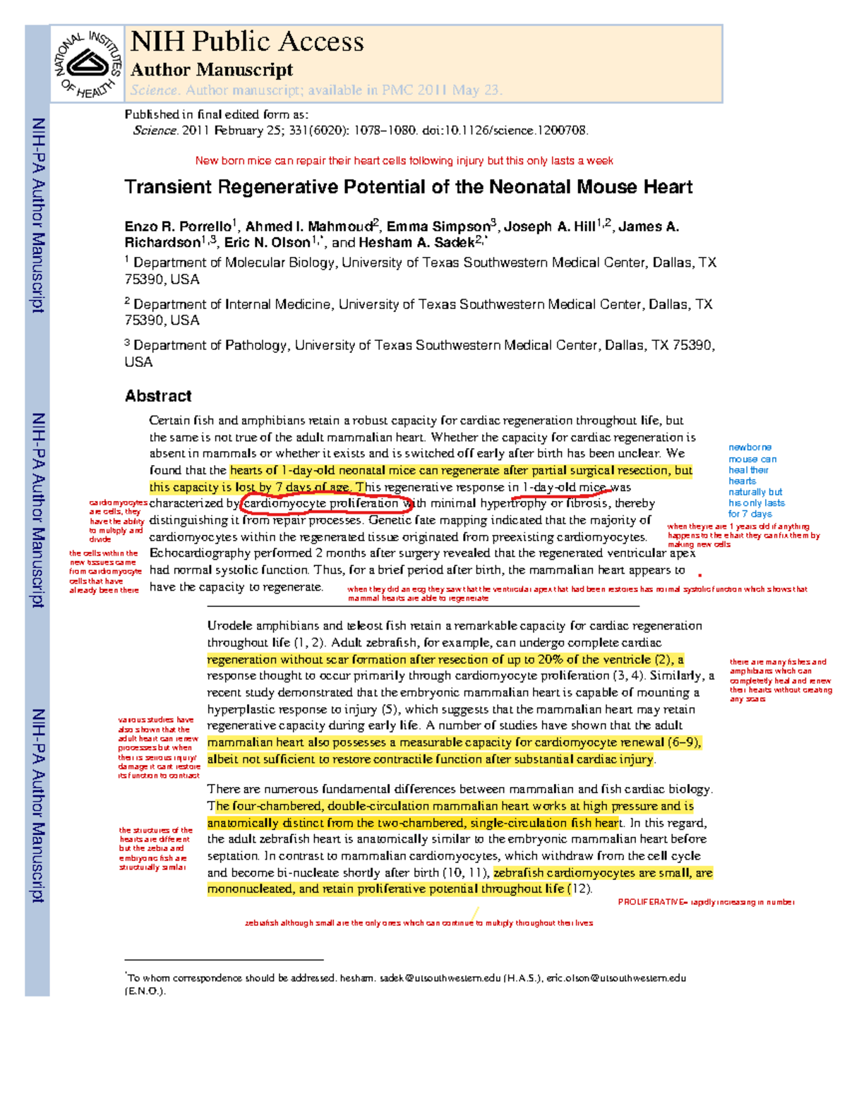Heart failure paper- Neonatal mice and regeneration - Transient ...