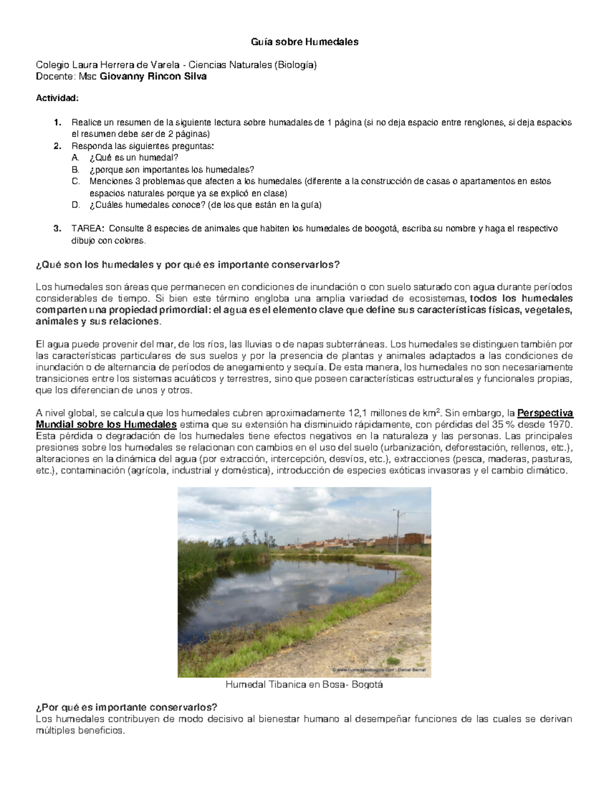 Qué son los humedales y por qué es importante conservarlos - Guía sobre Humedales Colegio Laura ...