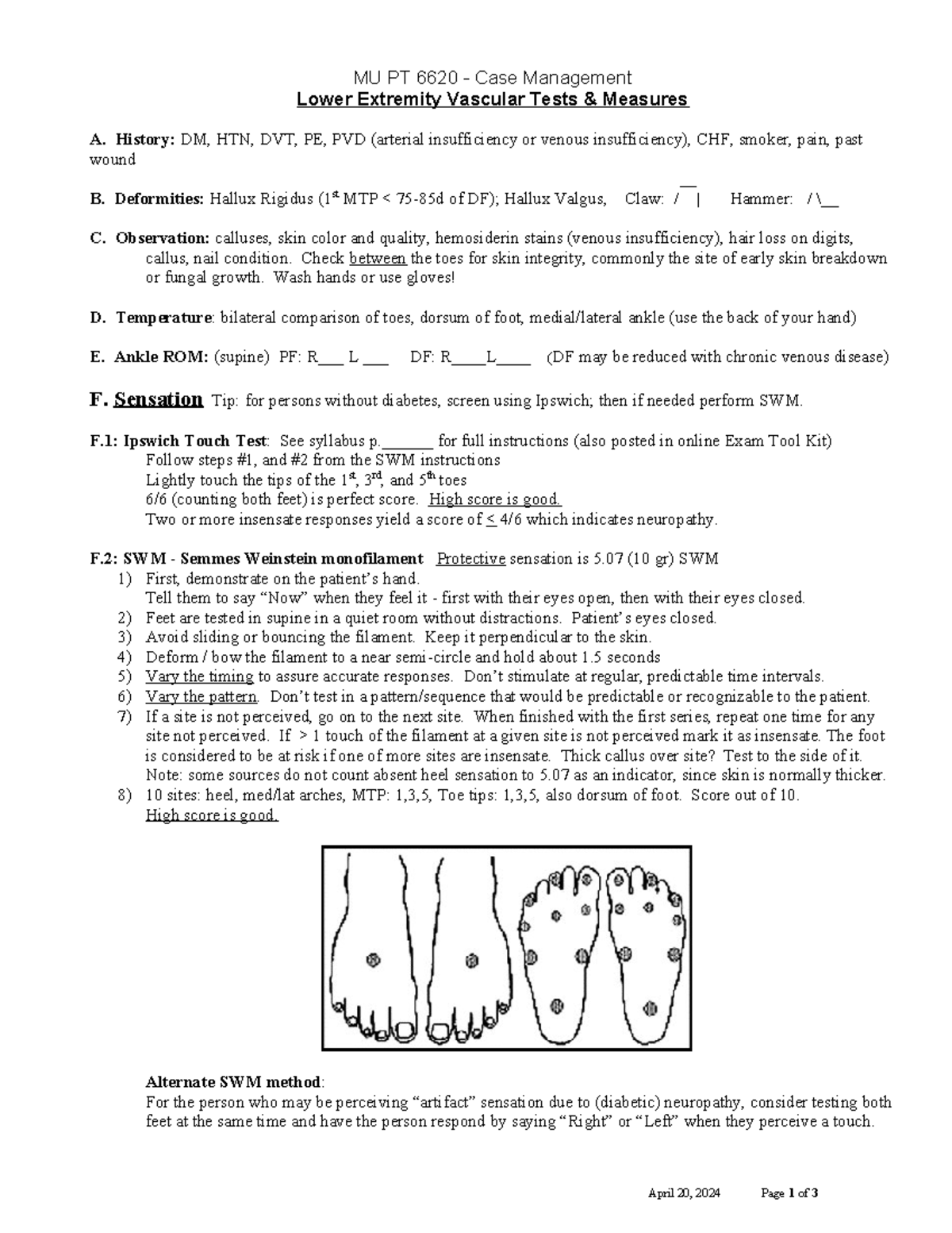 Vascular assessment - MU PT 6620 - Case Management Lower Extremity ...