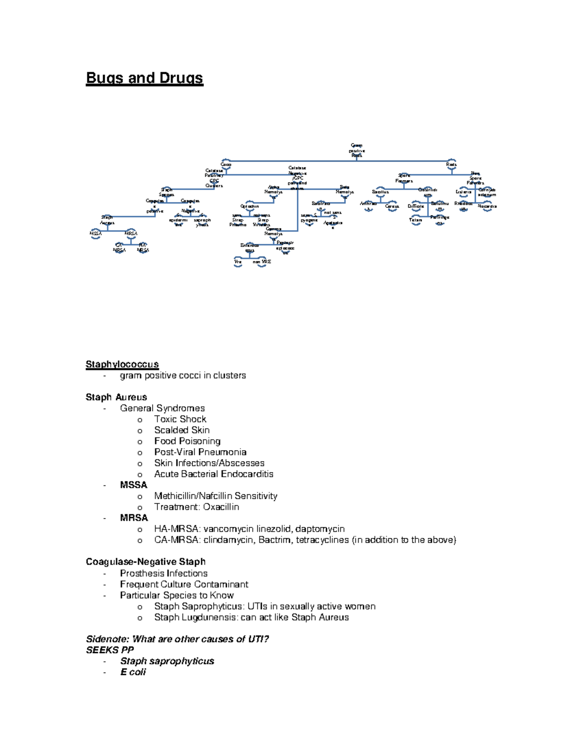 Bugs - Negative epidermi dis S saproph yticus Catalase Negative pairs ...