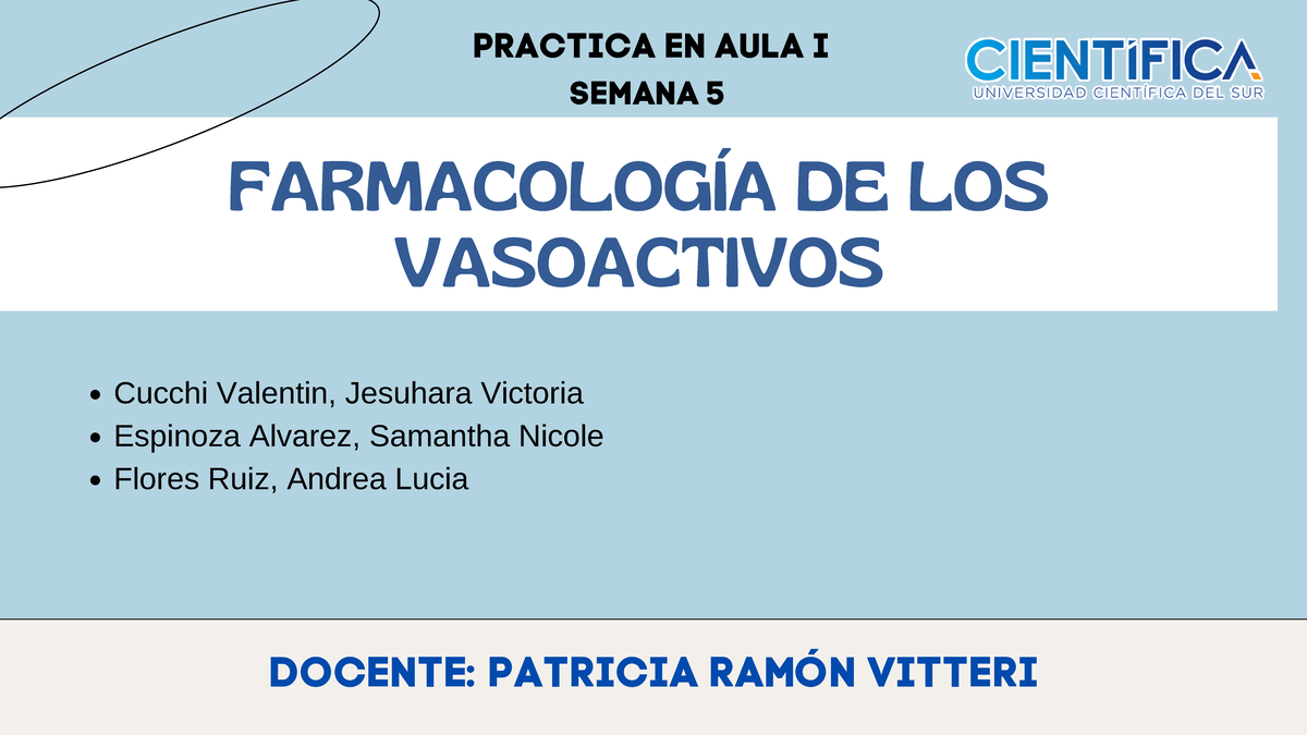 Vasoactivos - FARMACOLOGÍA DE LOS VASOACTIVOS DOCENTE: PATRICIA RAMÓN VITTERI SEMANA 5 PRACTICA ...