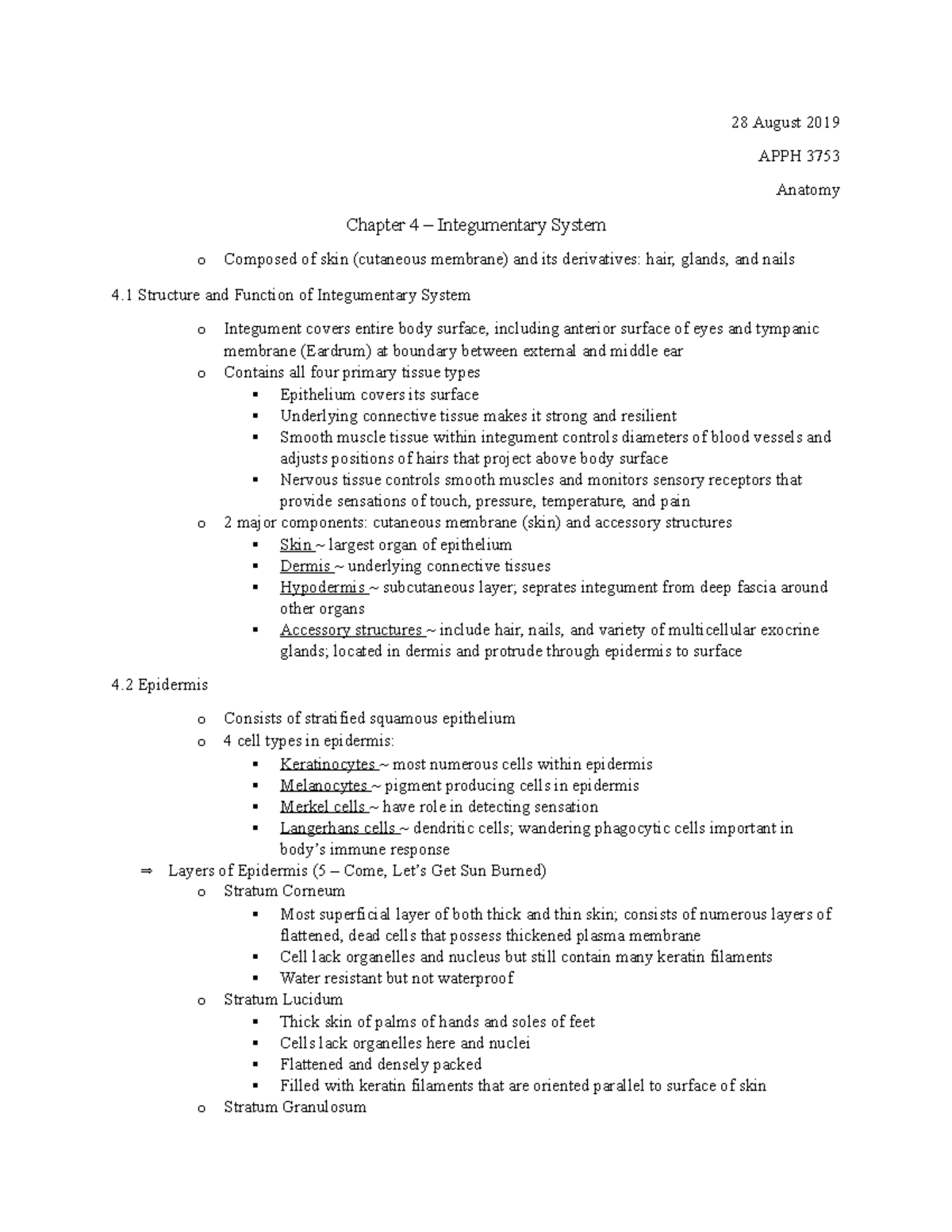 Chapter 4 – Integumentary System - 28 August 2019 APPH 3753 Anatomy ...