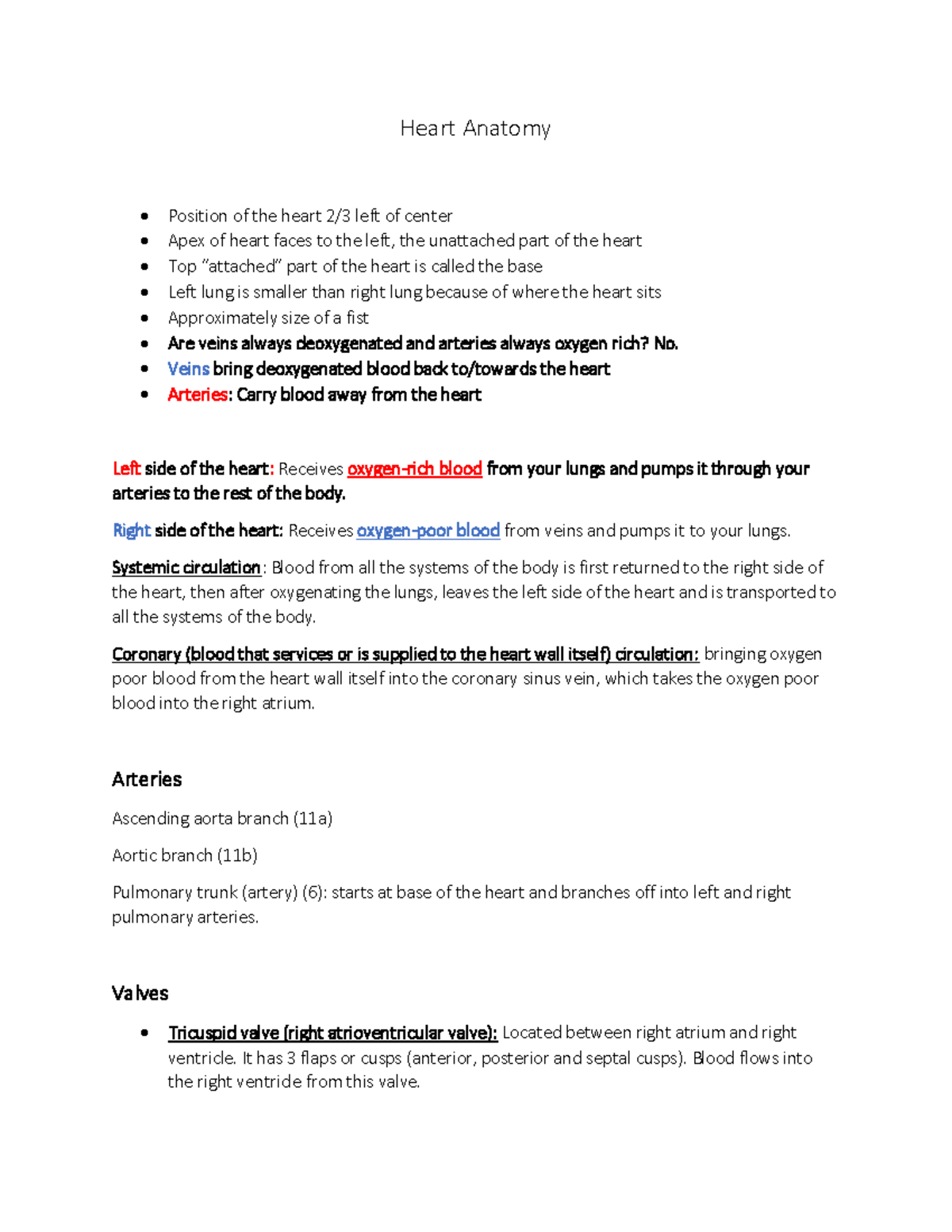Heart lab practical notes - Heart Anatomy Position of the heart 2/3 ...