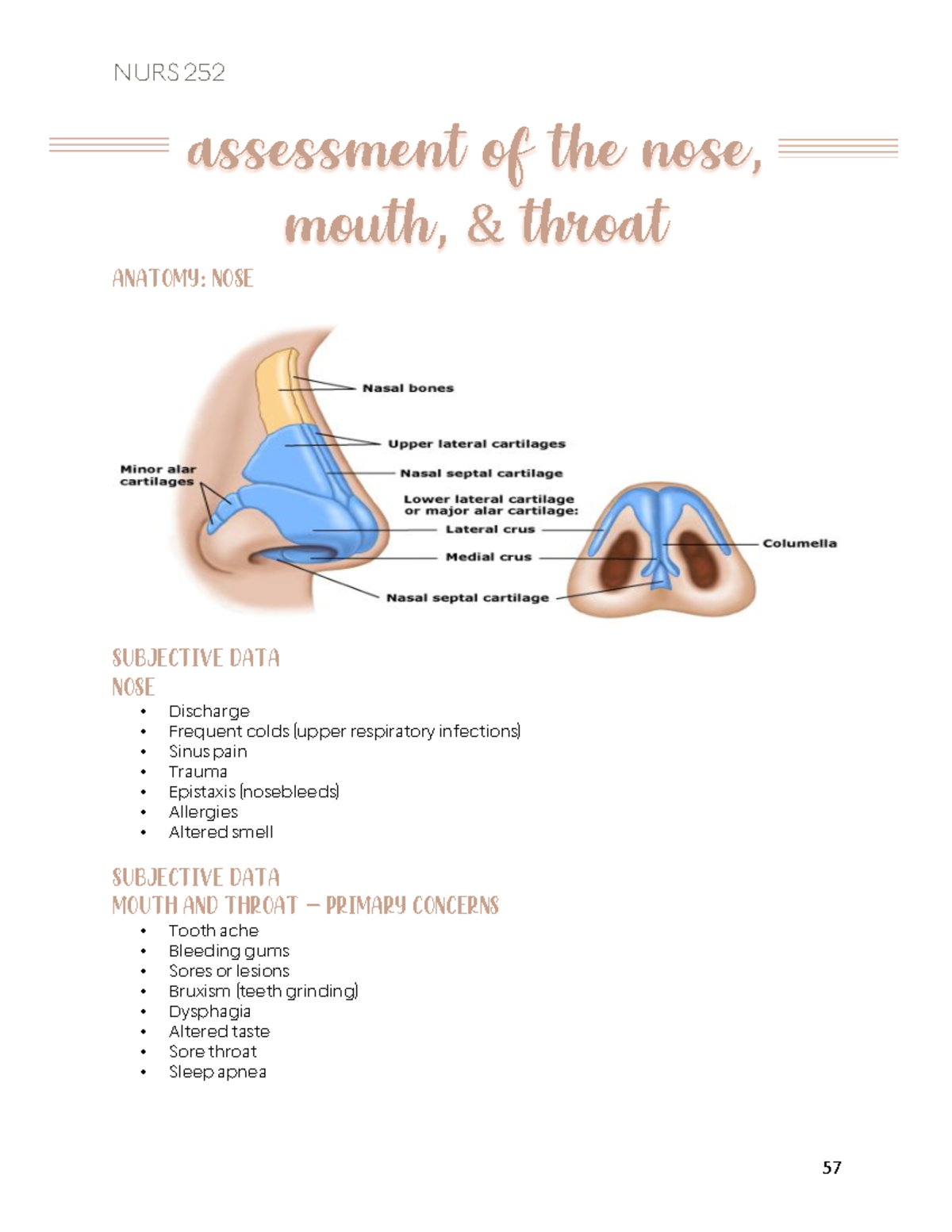 NURS 252 Notes-57-63 - Assessment of the Nose, Mouth, & Throat Anatomy ...