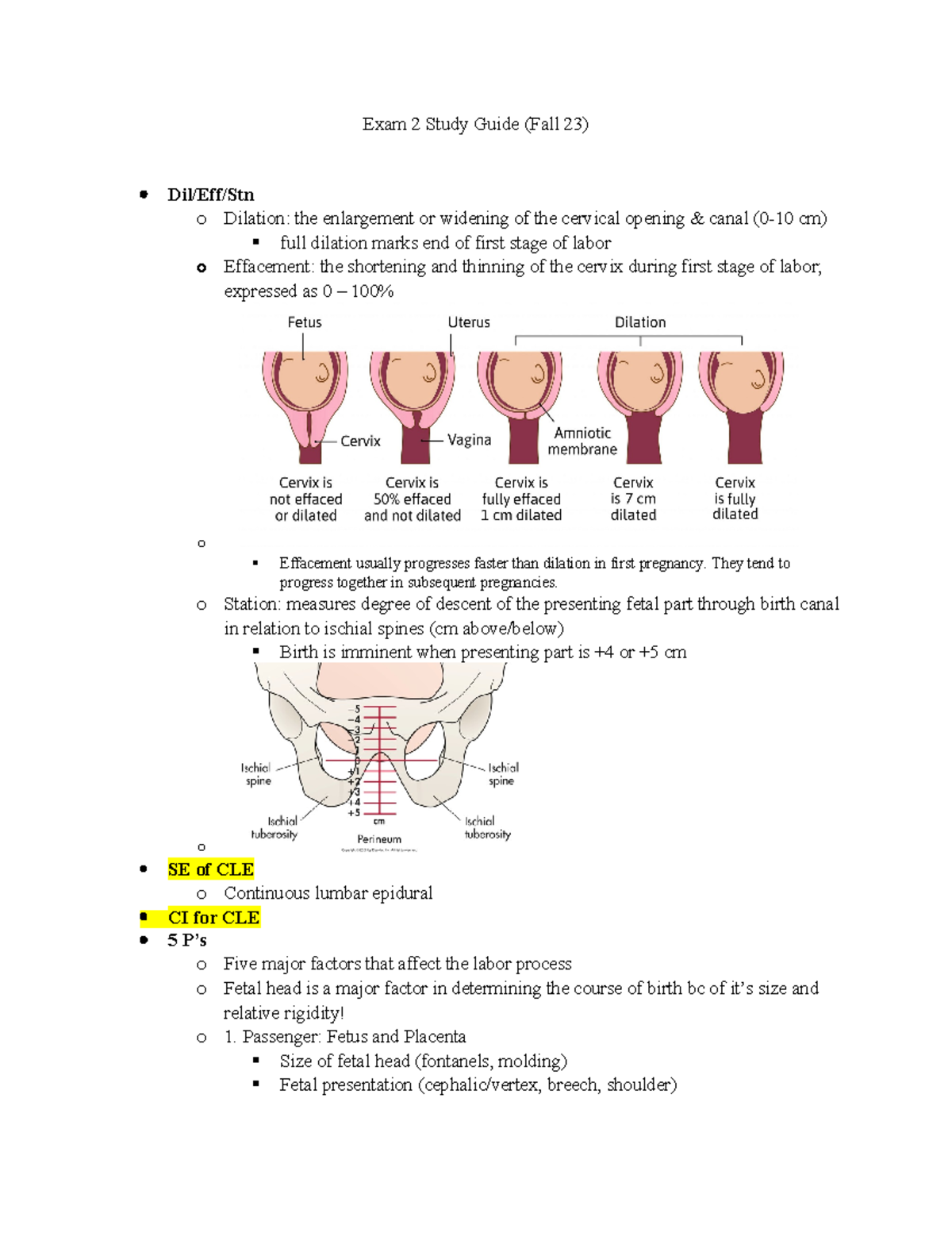 N330 Exam 2 Study Guide - Exam 2 Study Guide (Fall 23) Dil/Eff/Stn o ...