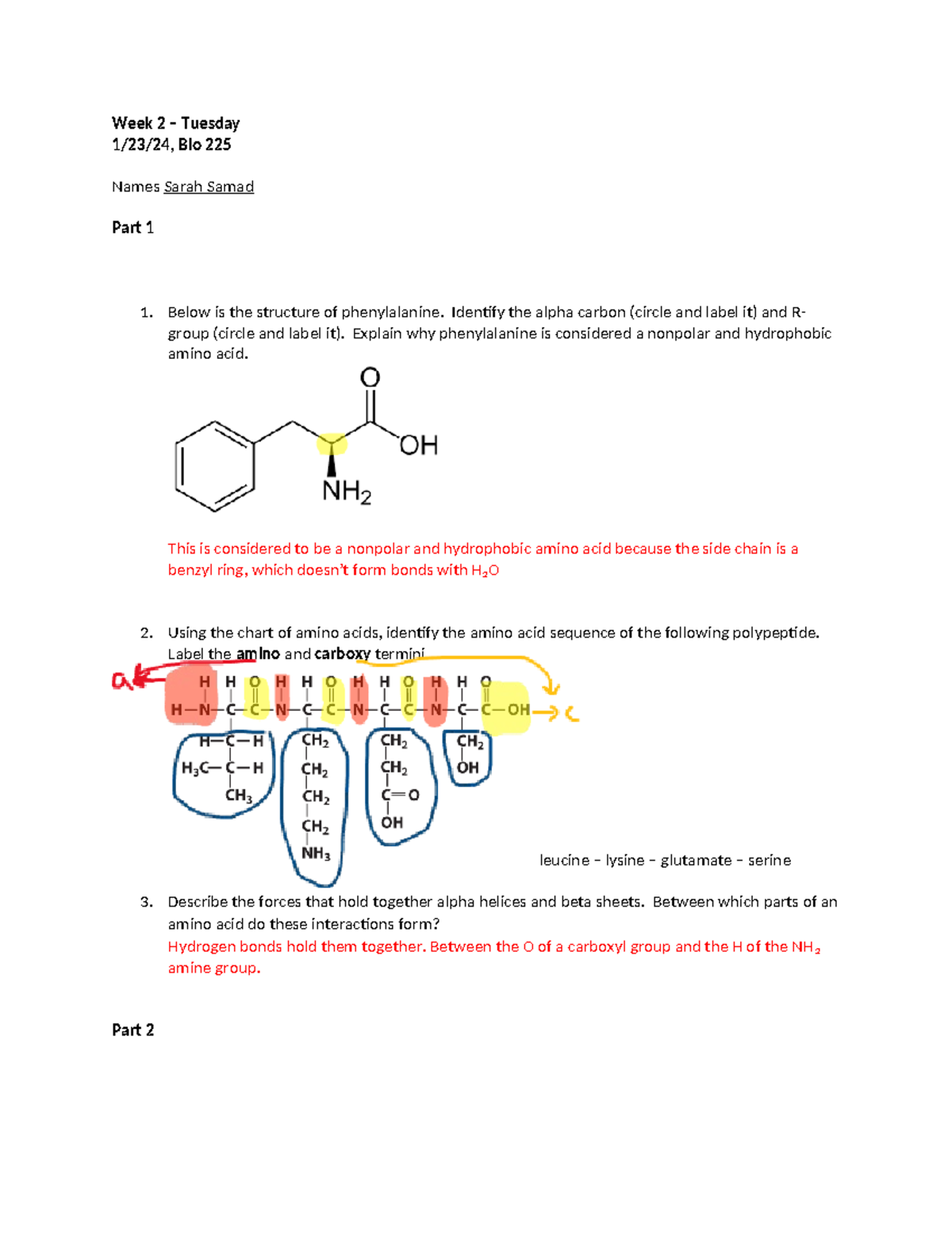 Protein folding worksheet - Week 2 – Tuesday 1/23/24, Bio 225 Names ...