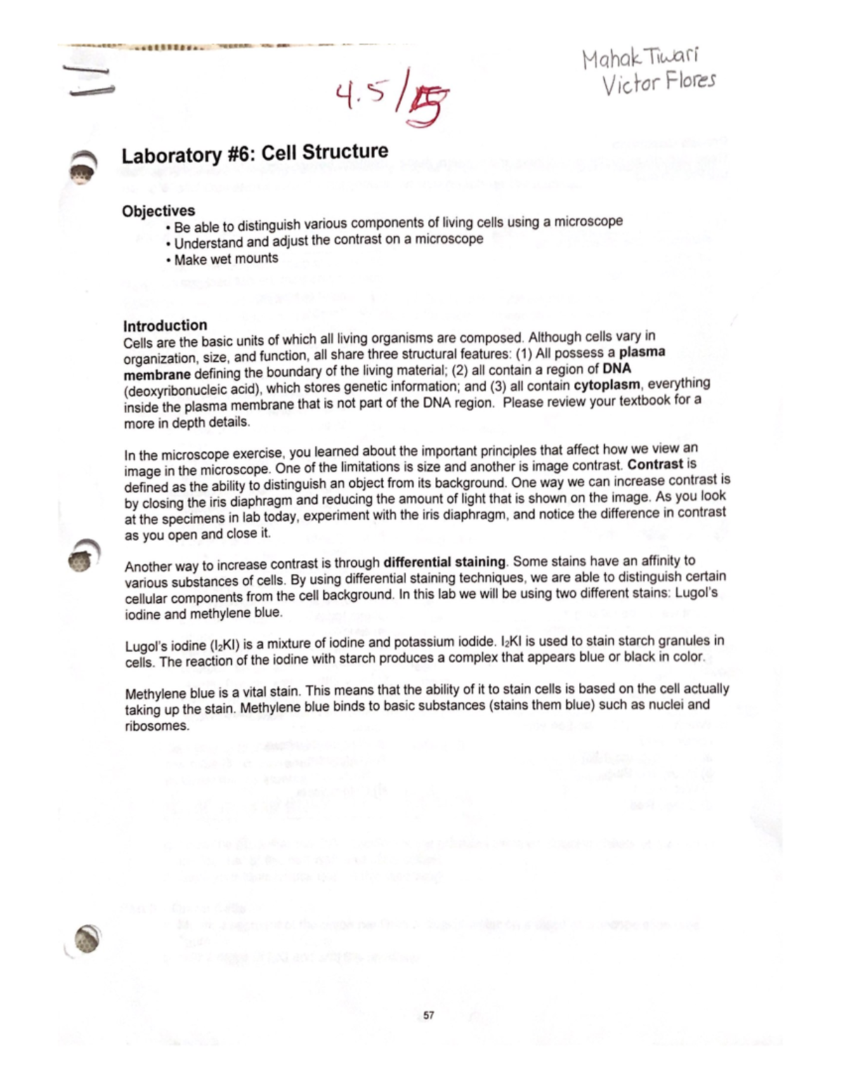 Lab 6 - Lab Work - BIOL-115 - Studocu