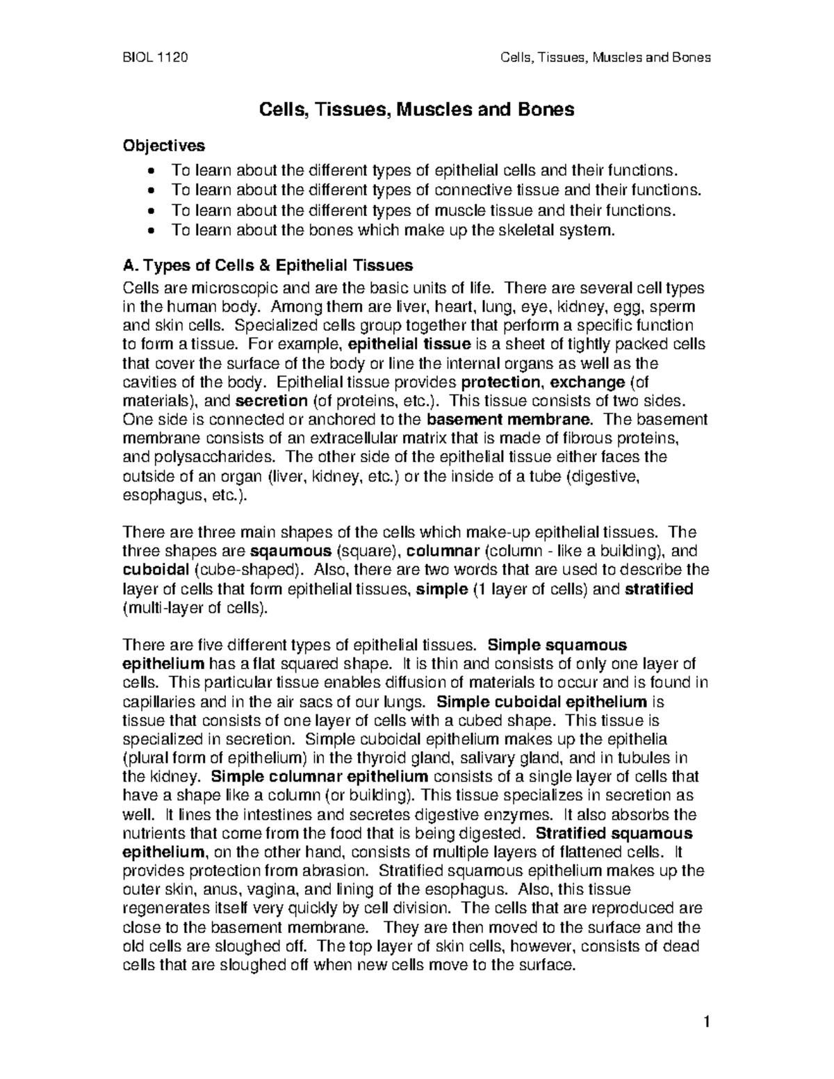 9 Cells, Tissues, Muscles & Bones BIOL 1120 - Cells, Tissues, Muscles ...