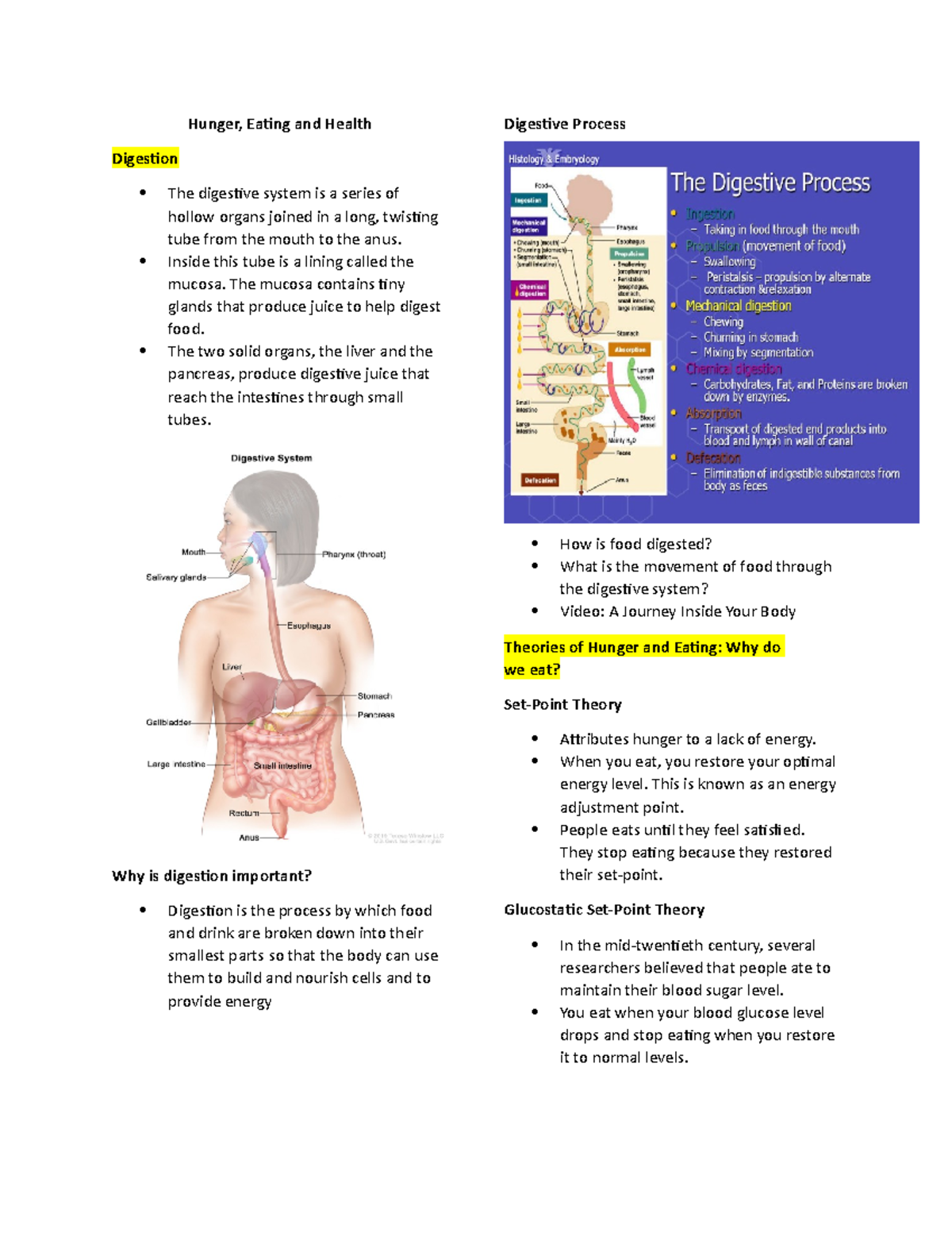 Hunger and history about rizal - Hunger, Eating and Health Digestion ...