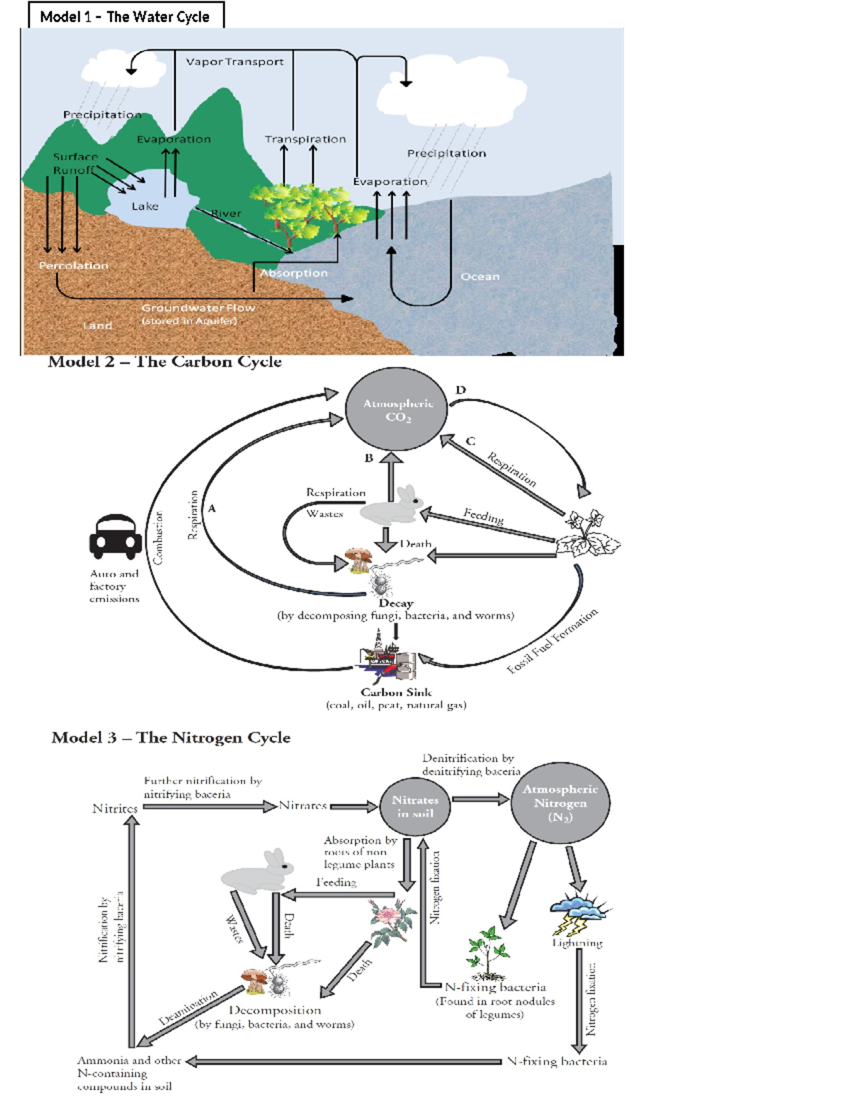 Pogil+Nutrient+Cycles+Student+Models - 98-349 - Model 1 – The Water ...