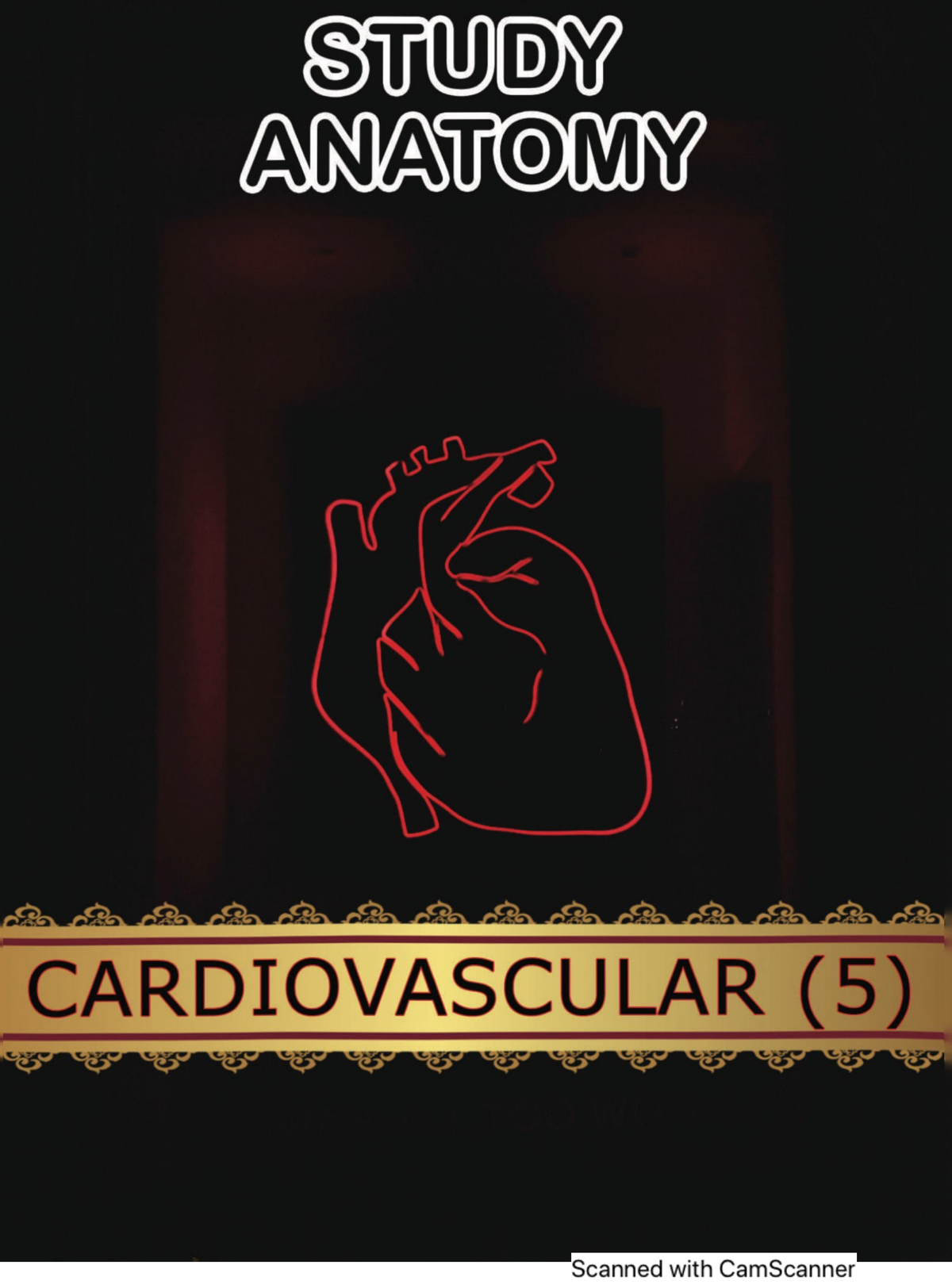 Cvs 5 - cvs5 - Anatomy - Studocu