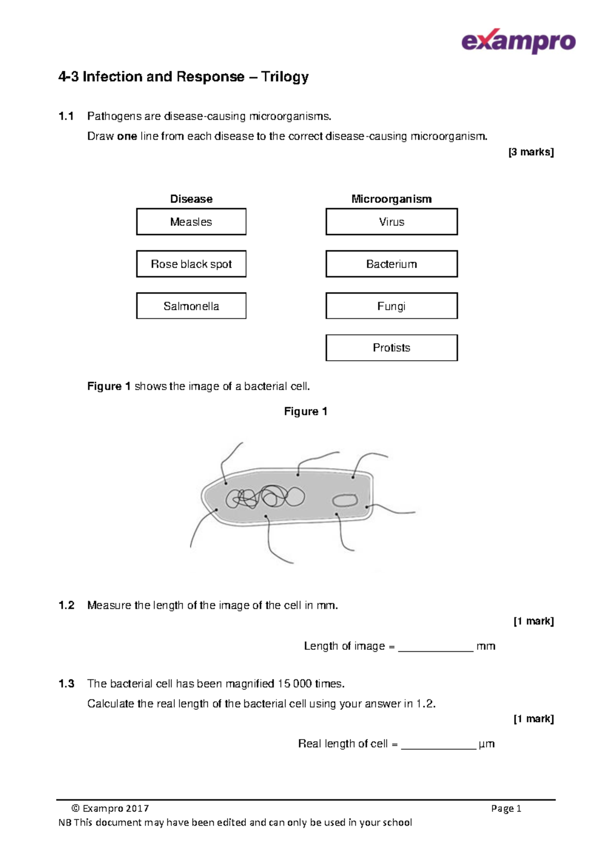 Biology Trilogy Infection and response - © Exampro 2017 Page 1 4 - 3 ...
