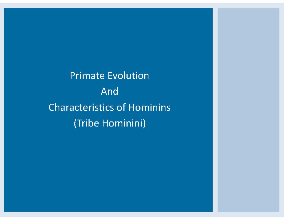 Lecture Slides Oct 20 - Primate Evolution And Characteristics of ...