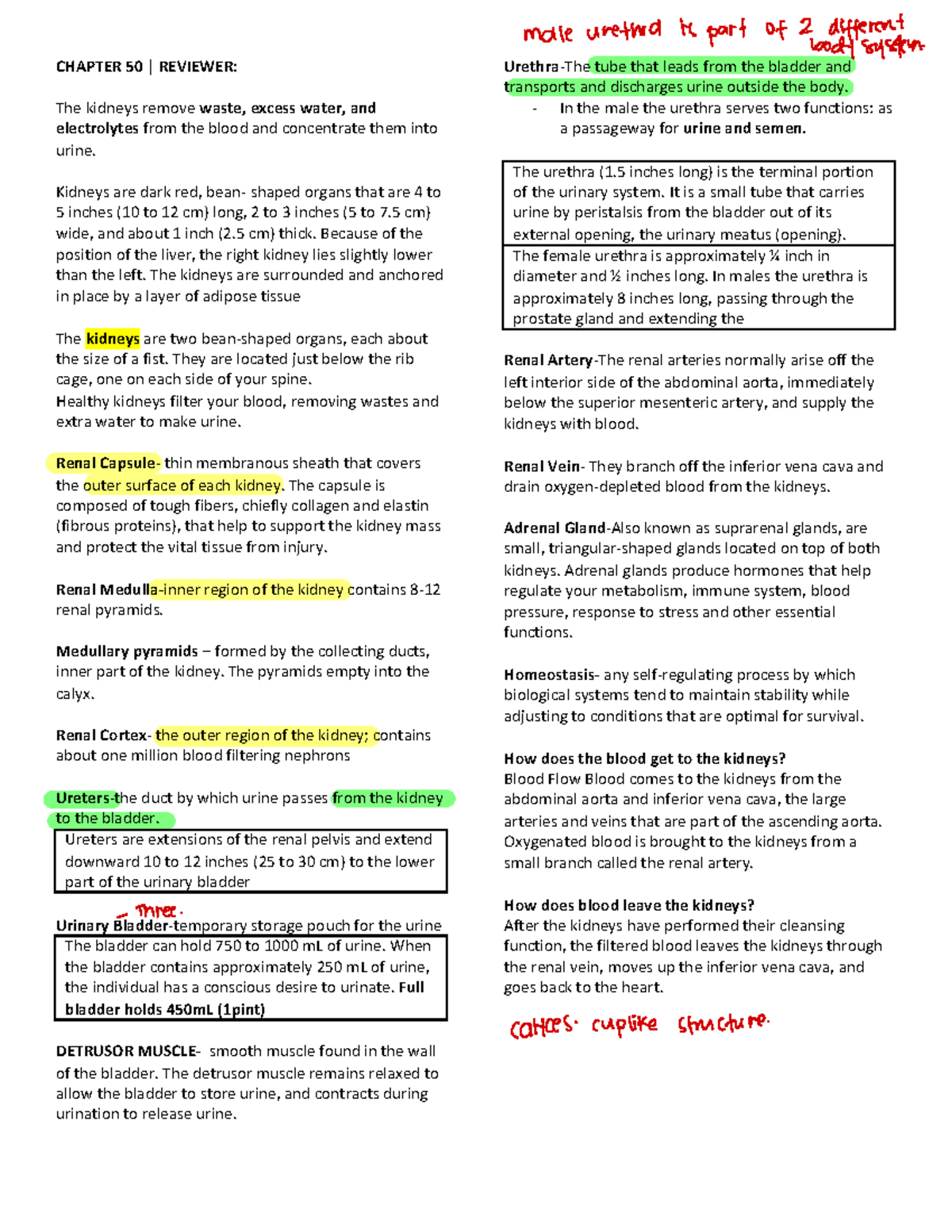 Renal Urinary reviewer - **CHAPTER 50 | REVIEWER: ** The kidneys remove ...