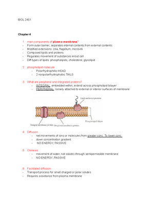 Chapter 5 Tissue - Chapter 5 Tissue Histology: study of tissues Cells ...