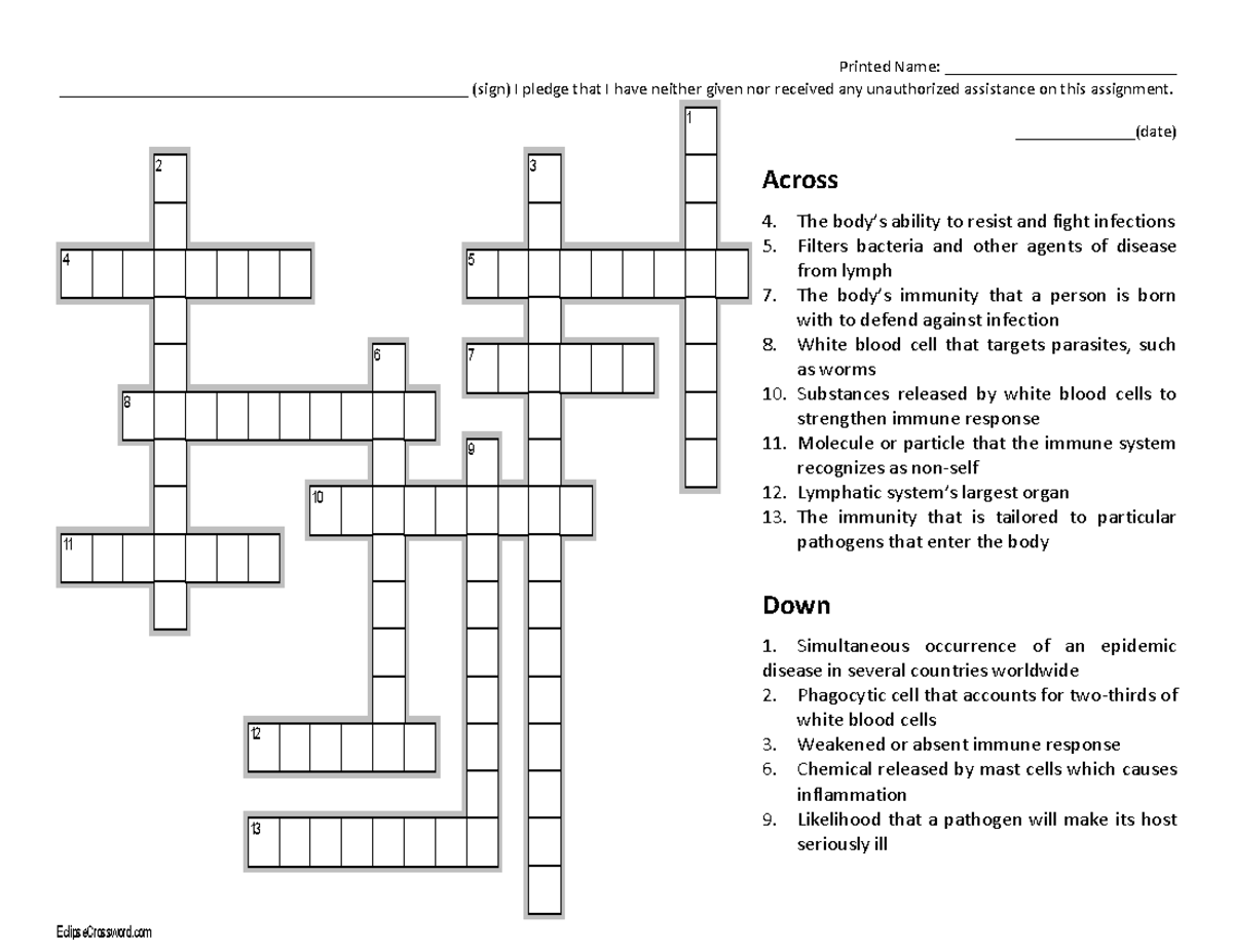 Immune System Crossword Puzzle - Printed Name ...