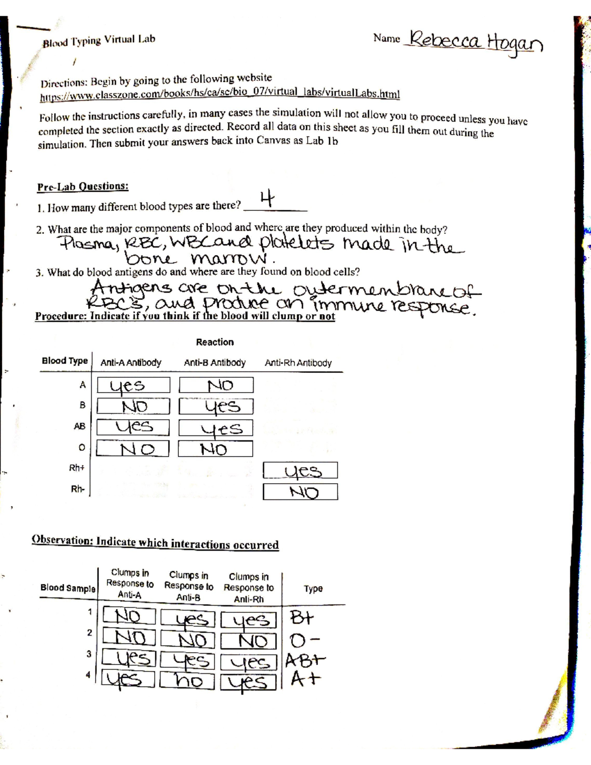 Bloodtypingvirtuallab - BIOL 242 - Studocu