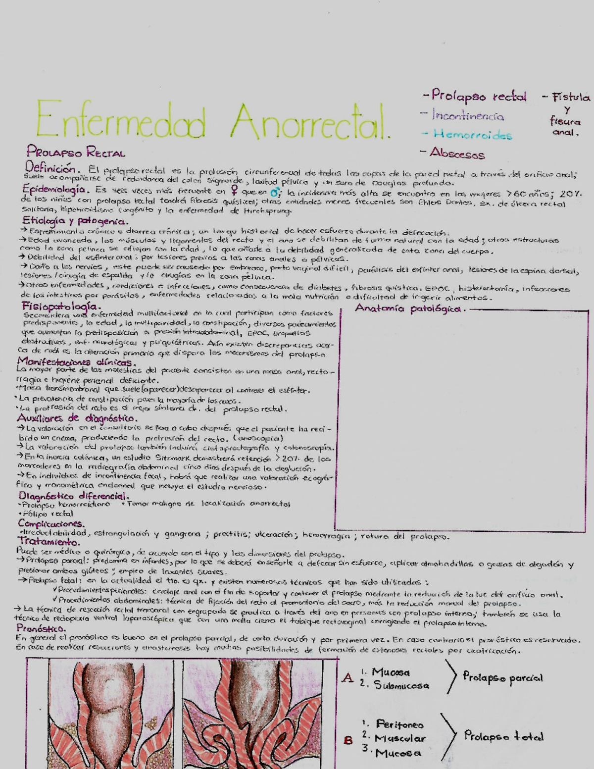 Enfermedades Anorrectales Ap Norma - *PI’OIQPSO keg-{:01 ~‘fTsi-uta Y ...