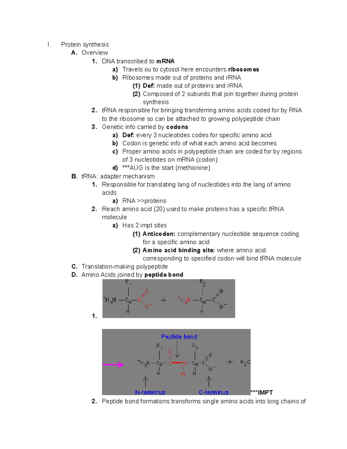 Ch 3 P2 - Lecture notes 5 - I. Protein synthesis A. Overview 1. DNA ...