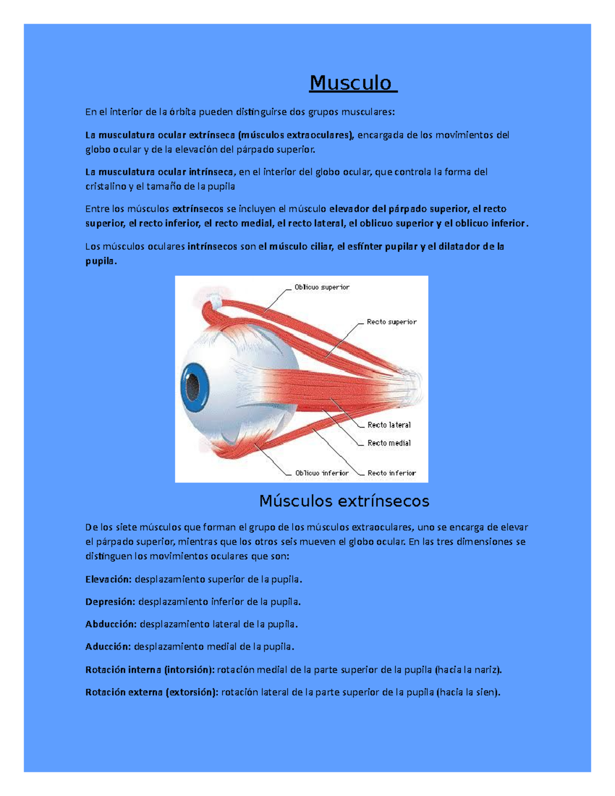 Inervación Del Músculo Ciliar