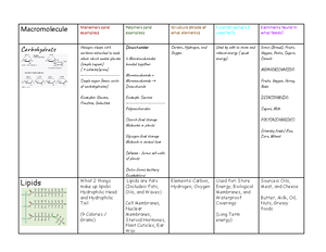 Student Jacob Peddle - 4-Sponge Bob Genetic Practice - Bikini Bottom ...
