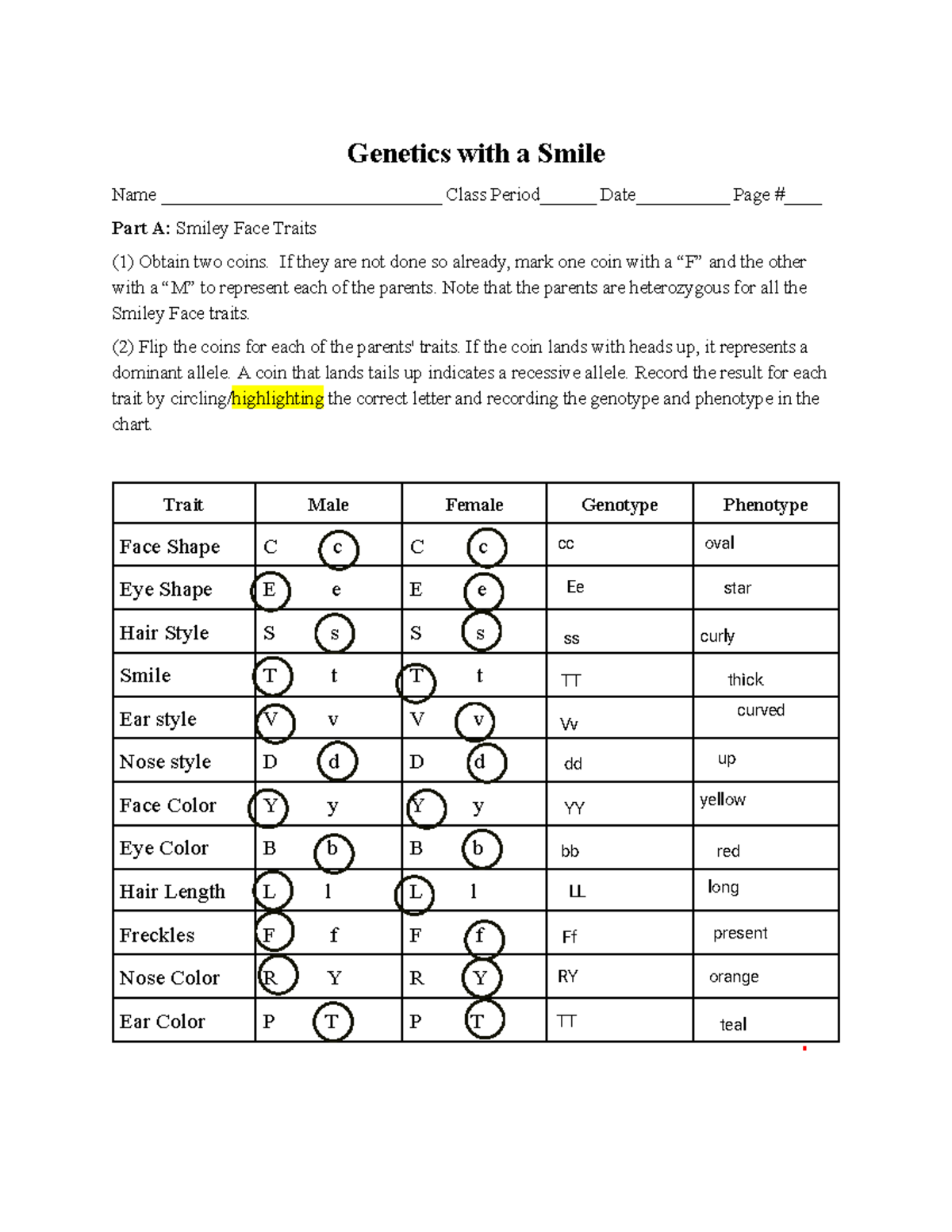 Kami Export - Ainsley Stanley - Genetics with a Smile Activity ...