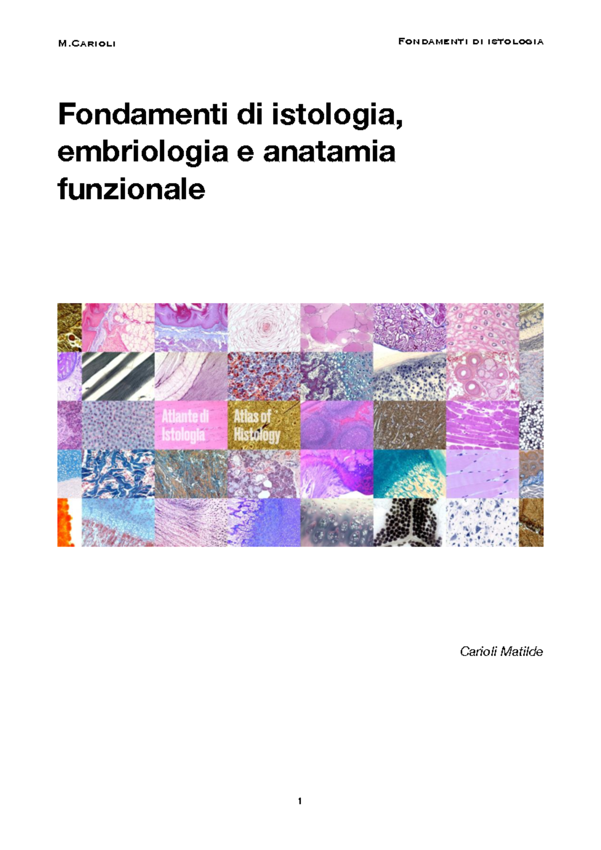 Istologia - Fondamenti di istologia, embriologia e anatamia funzionale ...