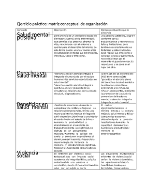 Matriz Conceptual AA 1 - caso - Ejercicio de organización Conceptual ...