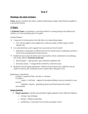 Nervous+System-Neuron+histology%2C+Impulses%2C+Synapses copy - THE ...