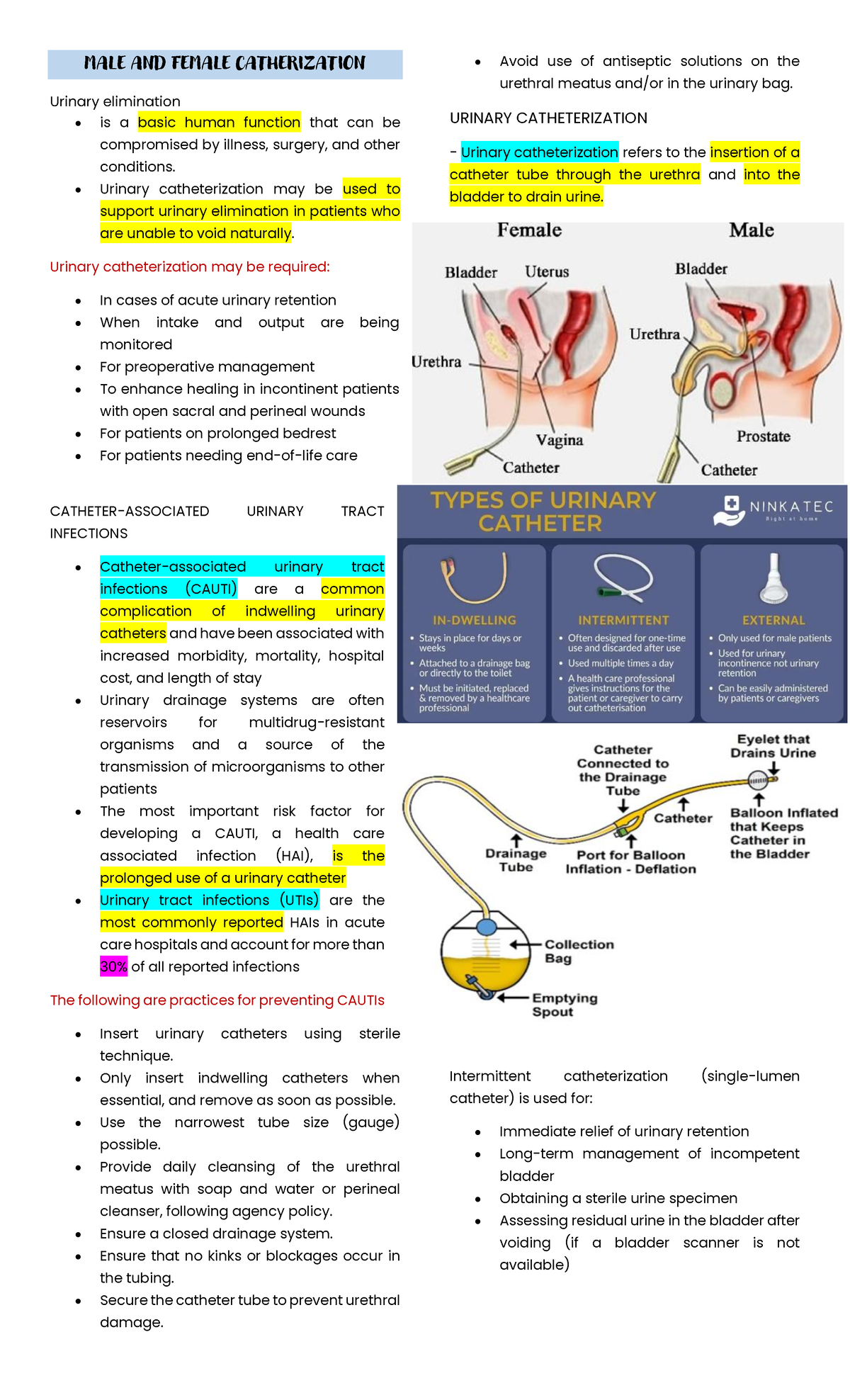 MALE AND Female Catherization - MALE AND FEMALE CATHERIZATION Urinary ...