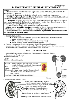 Human Physiology. Special Senses. Notes. Pdf - Human anatomy and ...