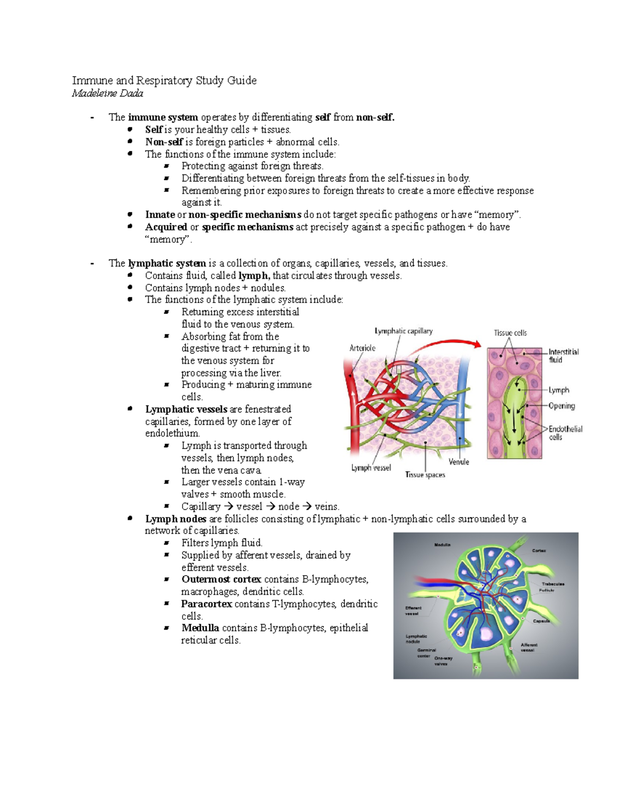 Immune and Respiratory Study Guide - Immune and Respiratory Study Guide ...