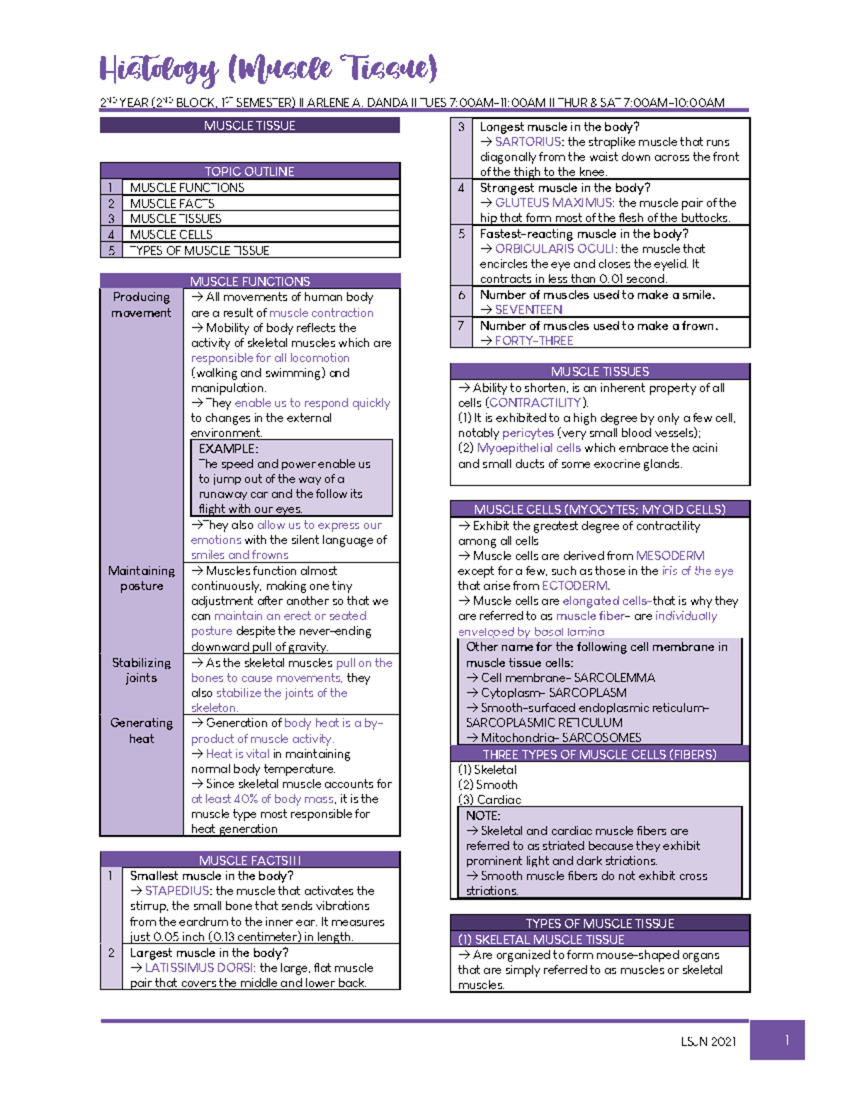 Muscle Tissues - PPT Notes and Youtube - 2 ND YEAR (2ND BLOCK, 1ST ...