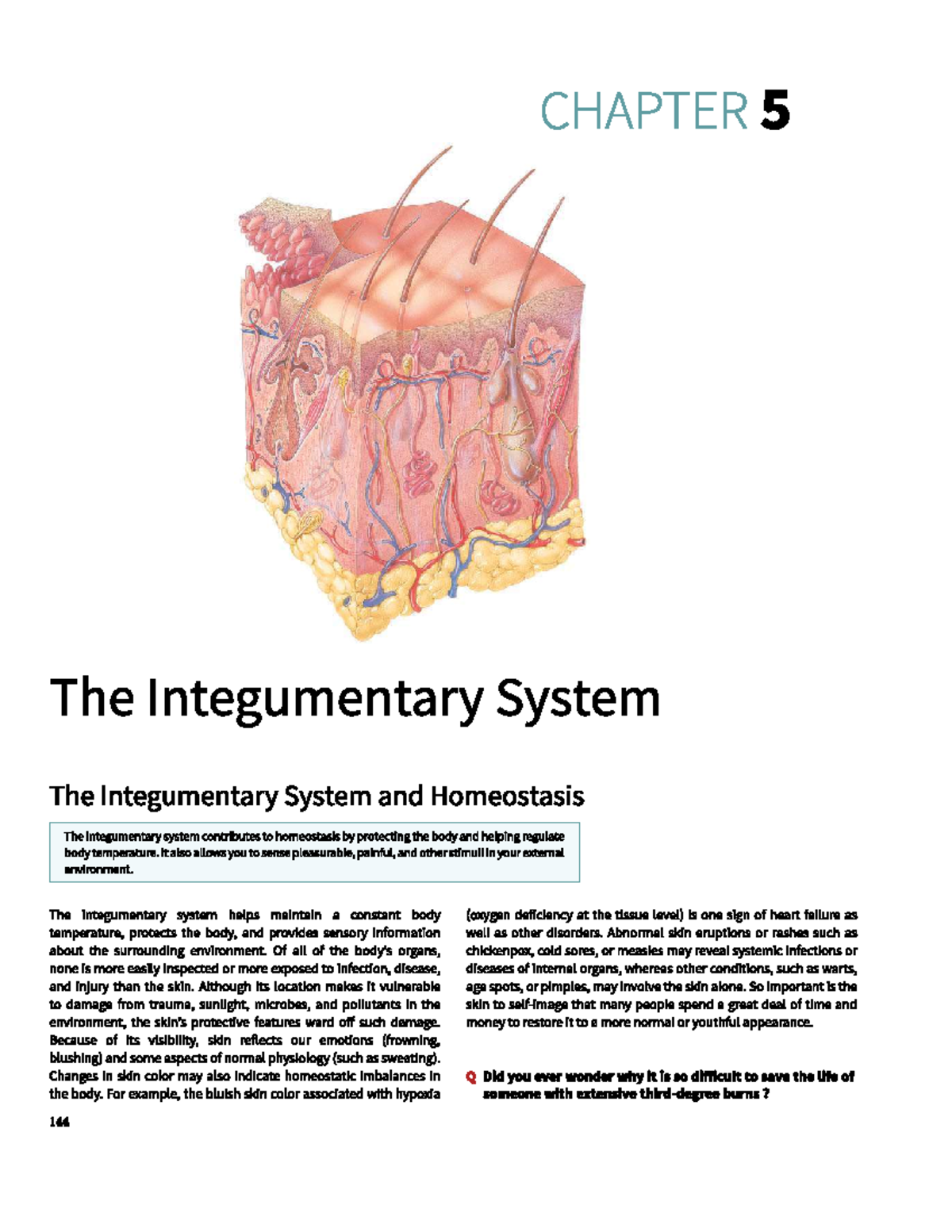 Integumentary system - It also allows you to sense pleasurable, painful ...