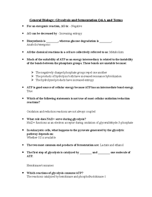 Action-potential-physiology-worksheet - The Action Potential Label the ...