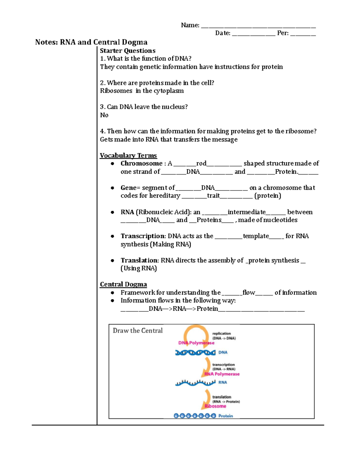 9-1 RNA and Central Dogma - Name ...