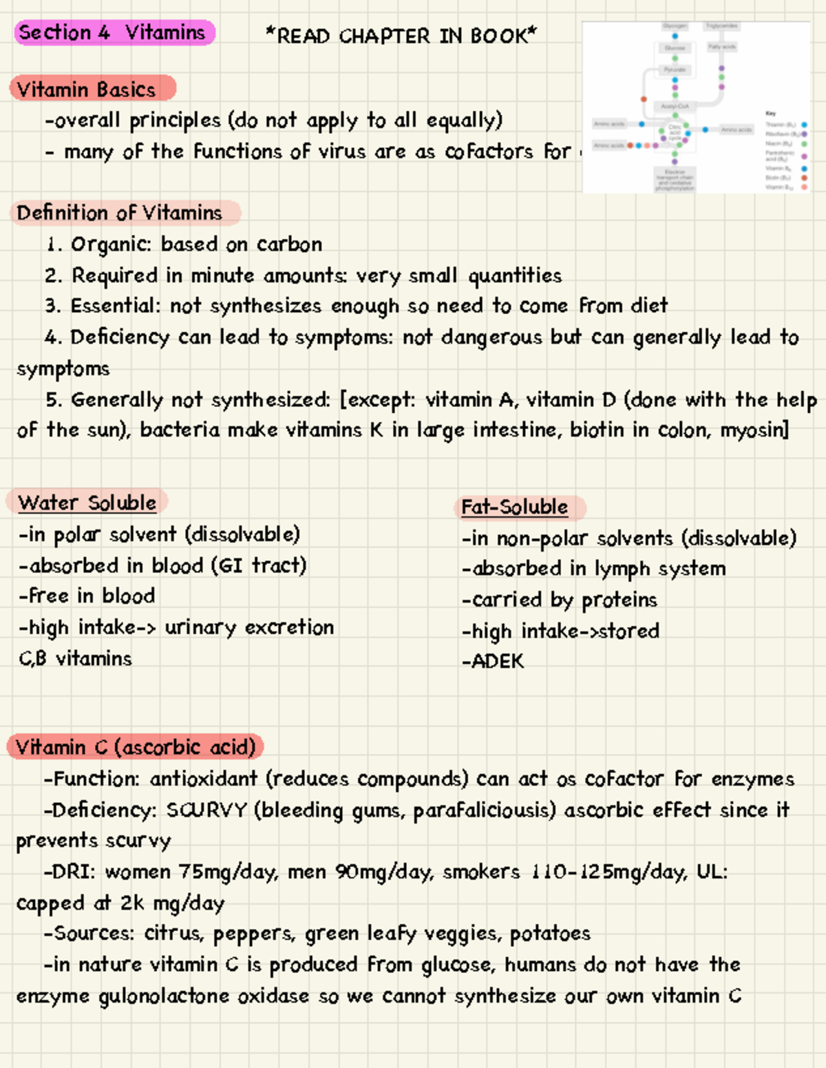 NUTR201 - Notes Vitamins - Section 4 Vitamins Vitamin Basics -overall ...