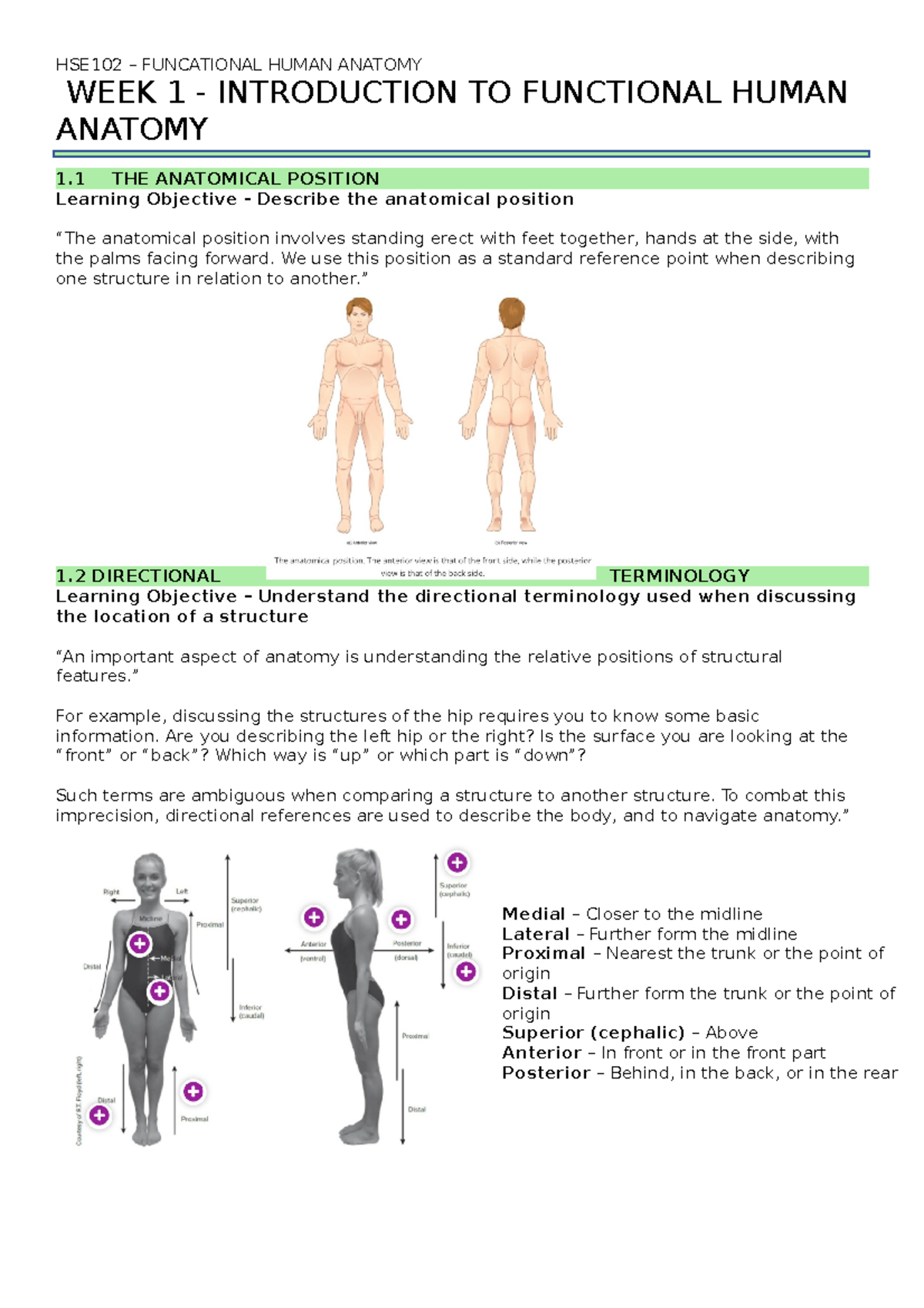 HSE102 Notes - WEEK 1 - INTRODUCTION TO FUNCTIONAL HUMAN ANATOMY 1 THE ...