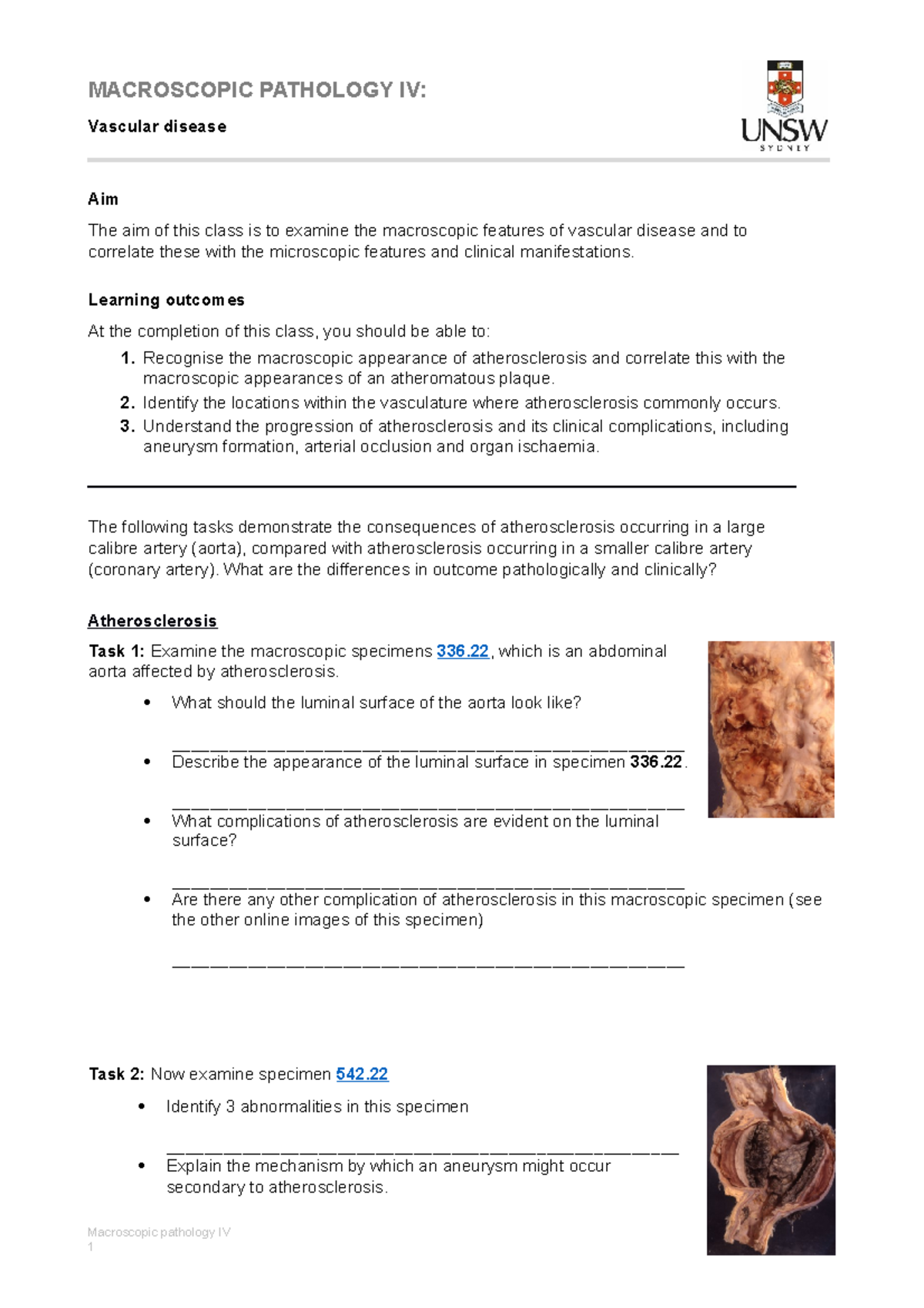 Macroscopic pathology 4 - MACROSCOPIC PATHOLOGY IV: Vascular disease ...