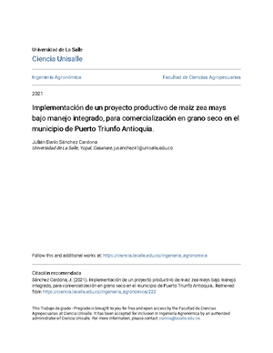 Caso práctico Matriz de Pagos Bajo Incertidumbre - Caso práctico Matriz ...