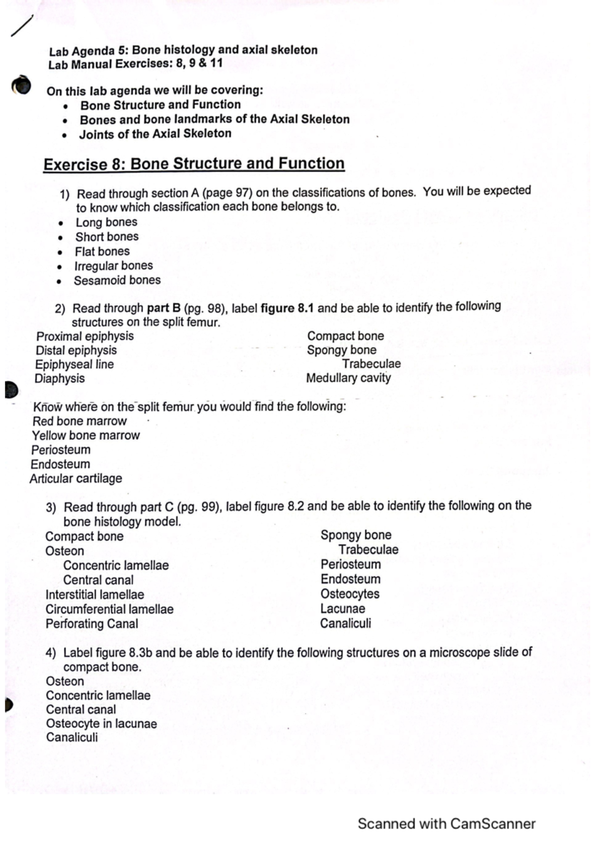 Lab Agenda 5 Exercise 8,9,11 - vA Lab Agenda 5: Bone histology and axial skeleton Lab Manual ...