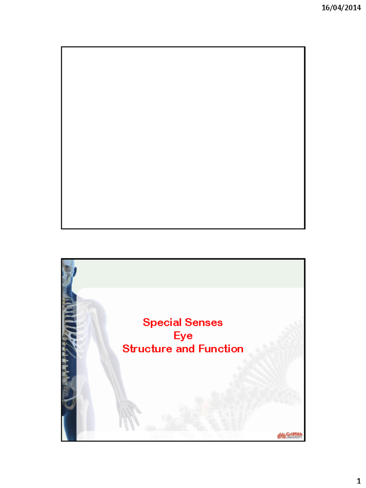 Eye & Vision - Lecture notes, lecture 20 - Special Senses Eye Structure ...