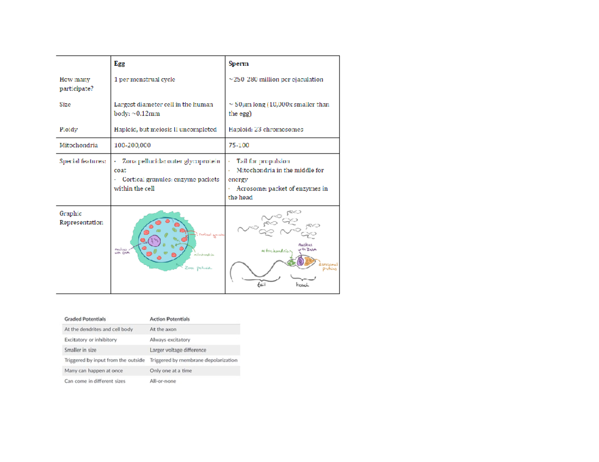 Biochemistry Note - Formulas: onedrive.live/?authkey= - Studocu
