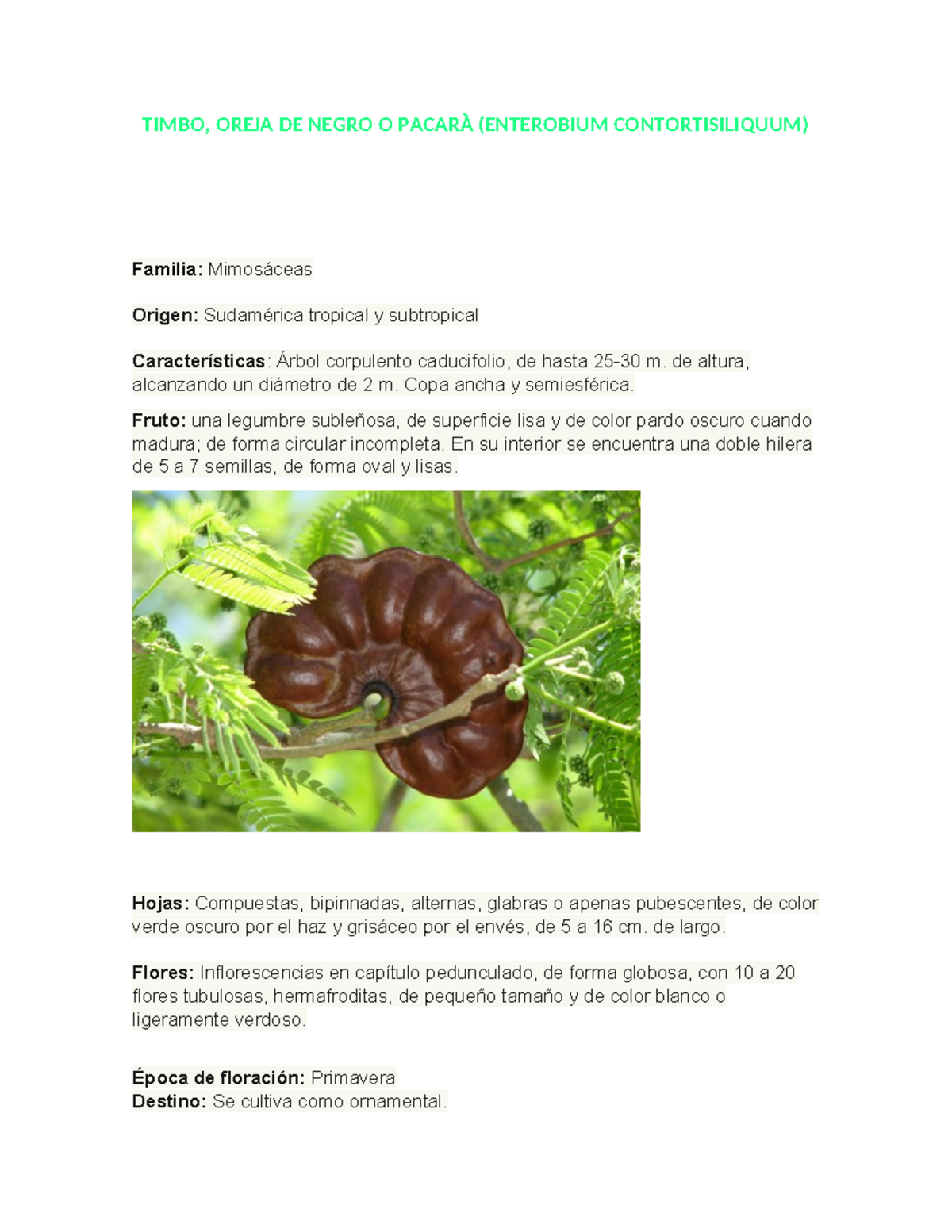 Frutos Dehiscentes Enid - TIMBO, OREJA DE NEGRO O PACARÀ (ENTEROBIUM ...