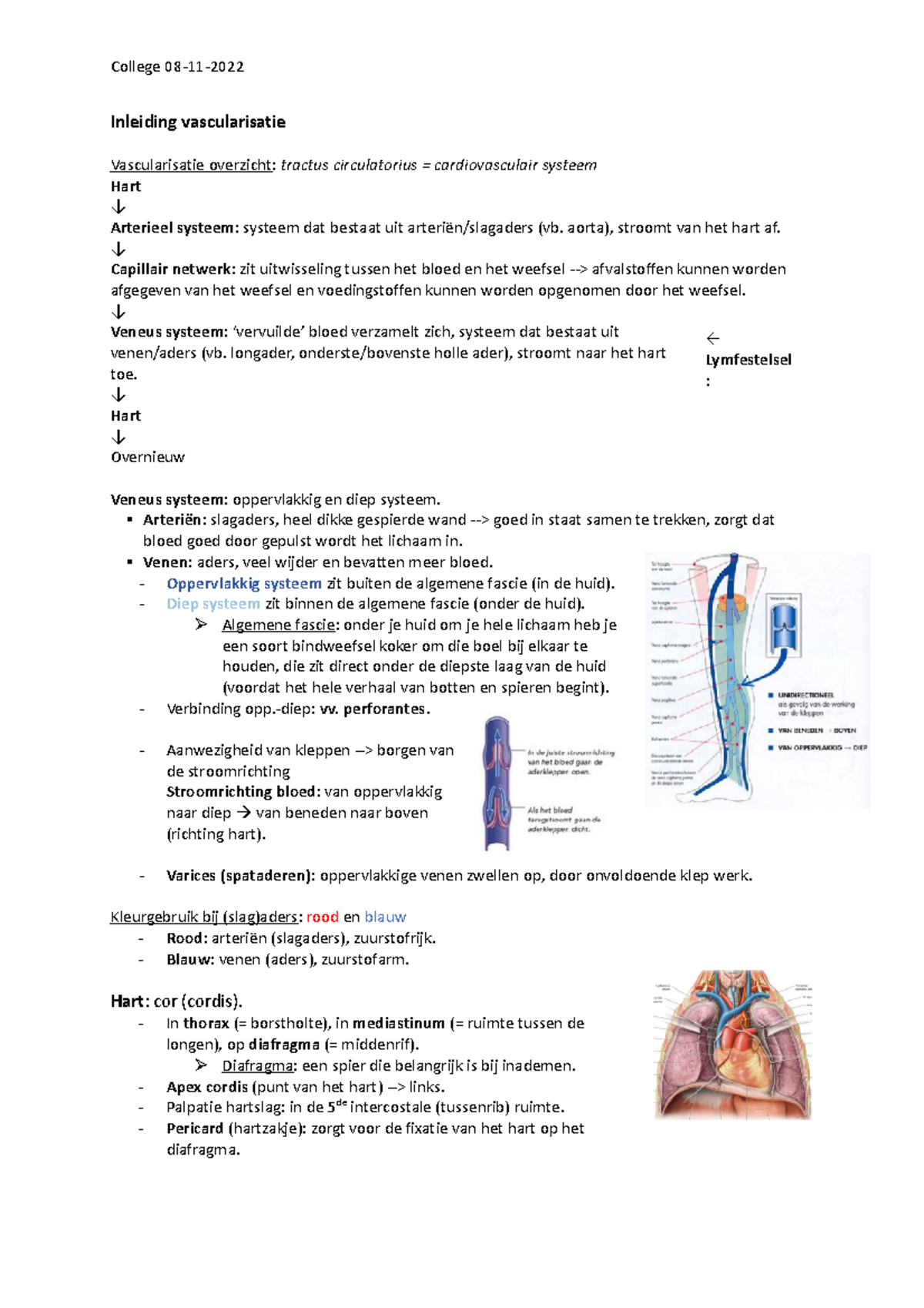 Inleiding vascularisatie - Inleiding vascularisatie Vascularisatie ...