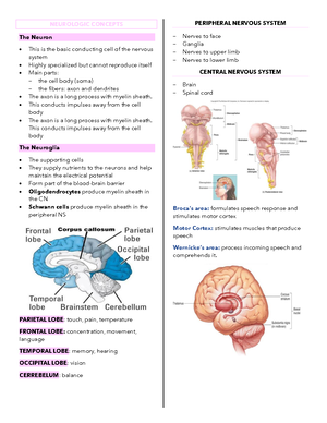 Vascu. Dementia case - CASE SCENARIO VASCULAR DEMENTIA Questions ...