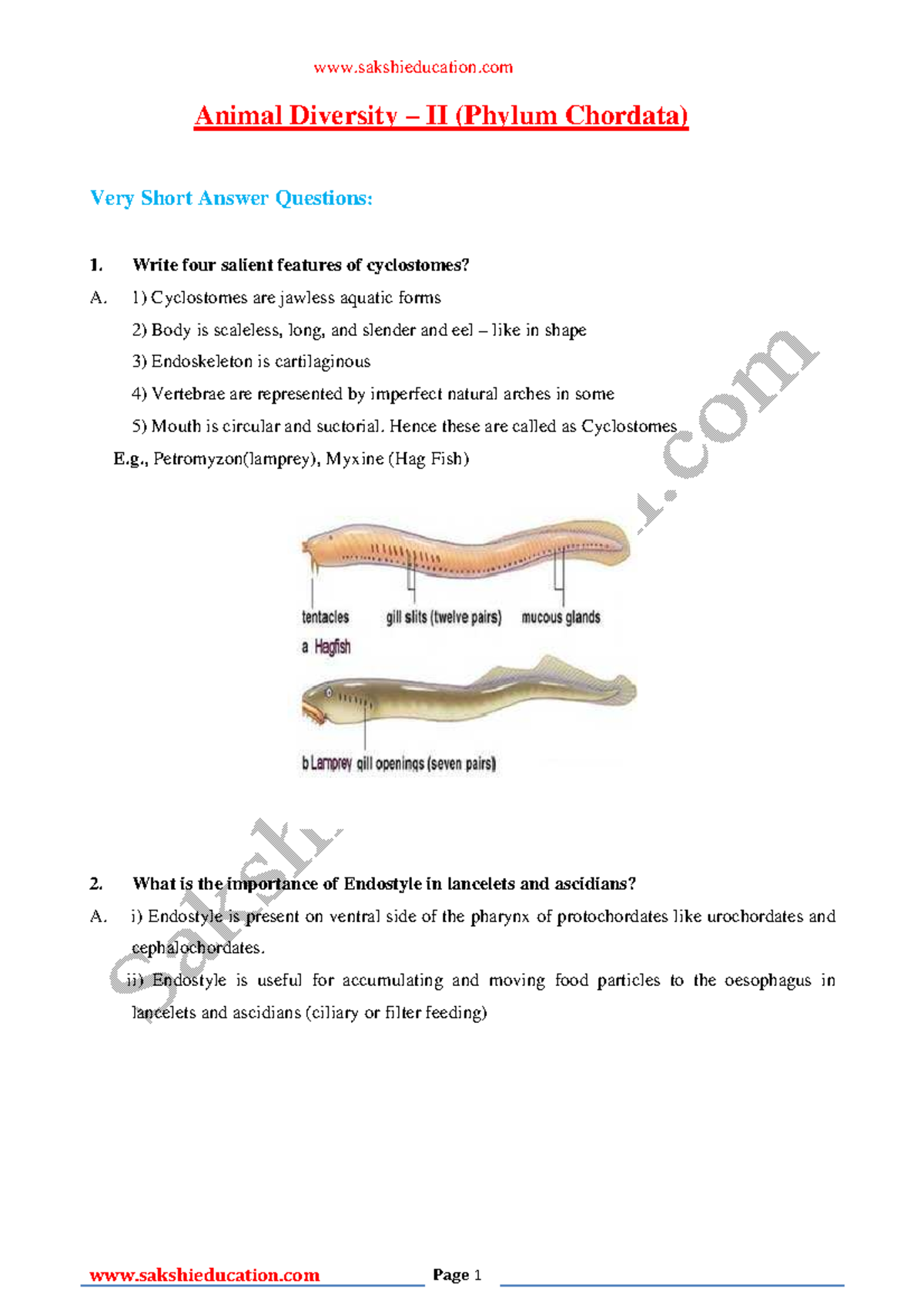 Inter-material-istyearem-zoology-animal diversity ii phylum chordata ...