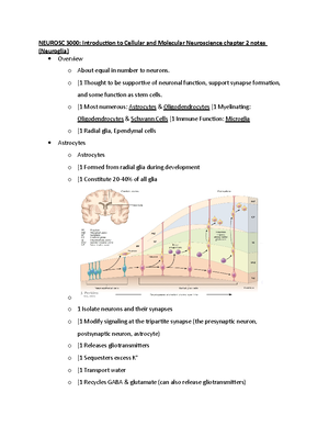 Neurosc 3000 (Dr.Kris Martens)Chapter 4-The Action Potential Notes Part ...